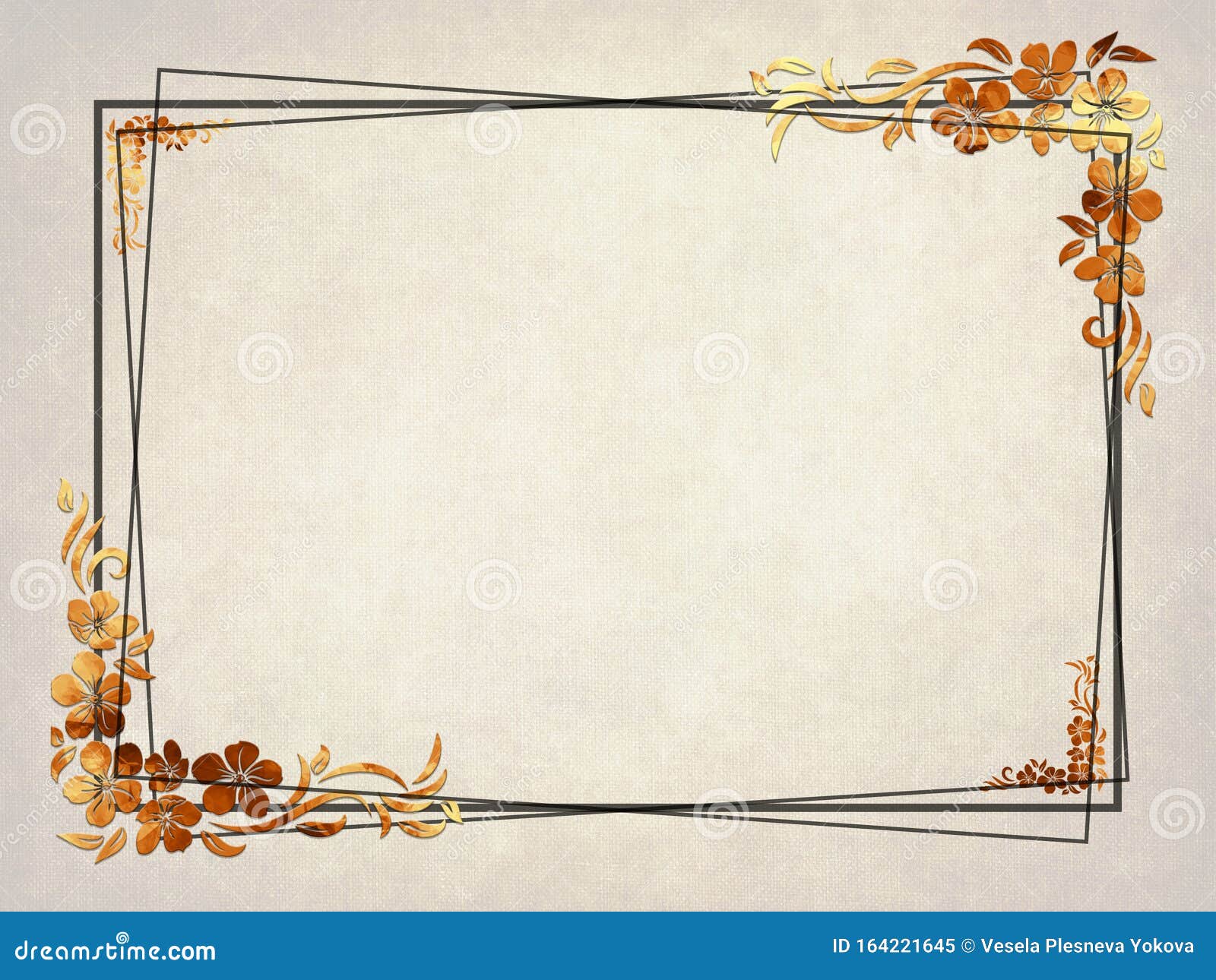 Rectangle Frames and Floral Elements Stock Vector - Illustration of ...