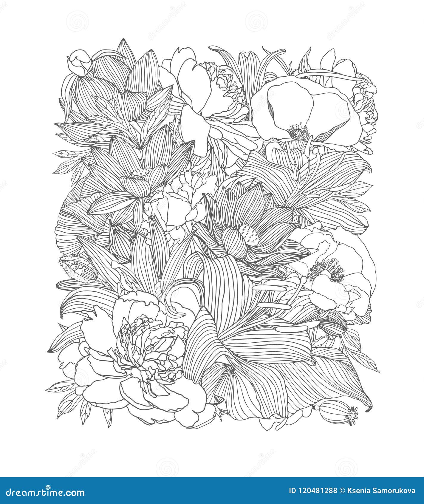 Rectangle of Linear Floral Pattern Stock Illustration - Illustration of ...