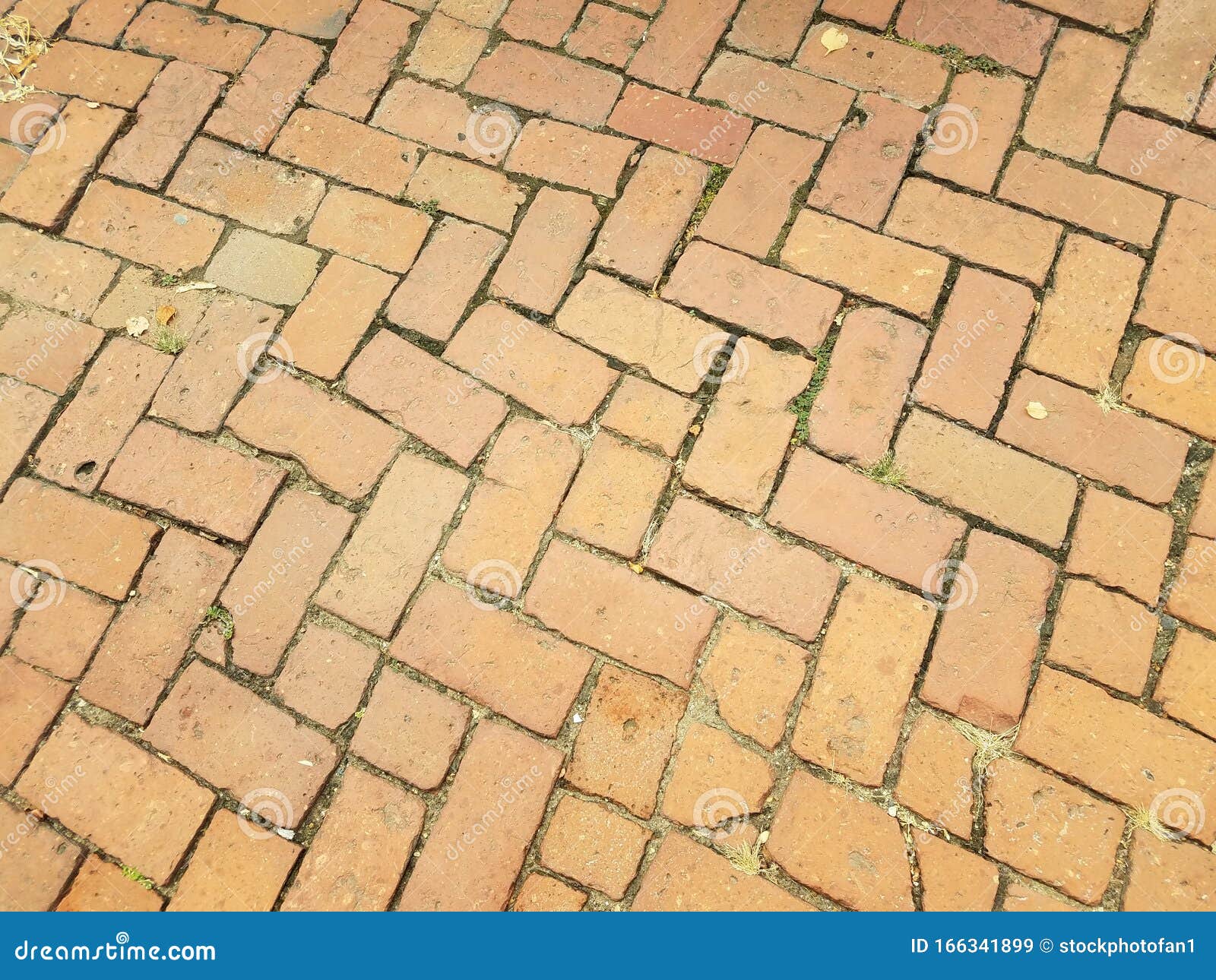 Rectangle Red Bricks or Masonry on Ground Stock Image - Image of ...