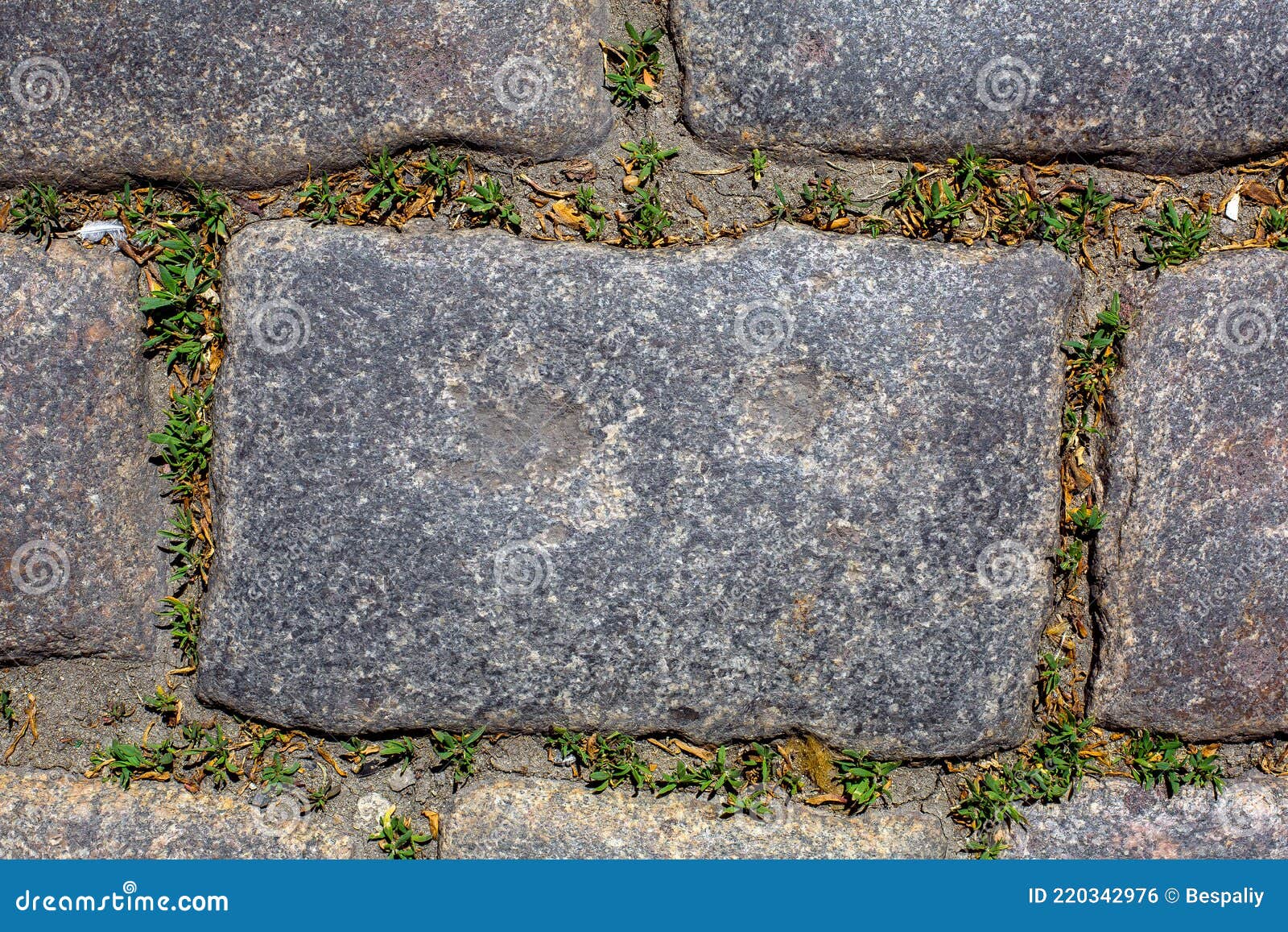 Rectangle Rough Granite Stone Tile Cobblestone. Stock Photo - Image of ...