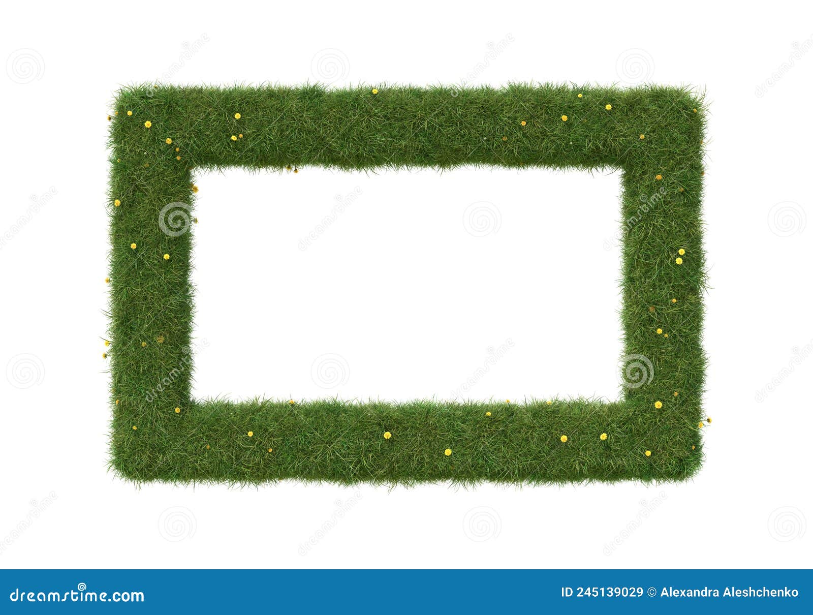 Rectangle Shape Frame Made of Grass and Dandelions, Isolated on White ...