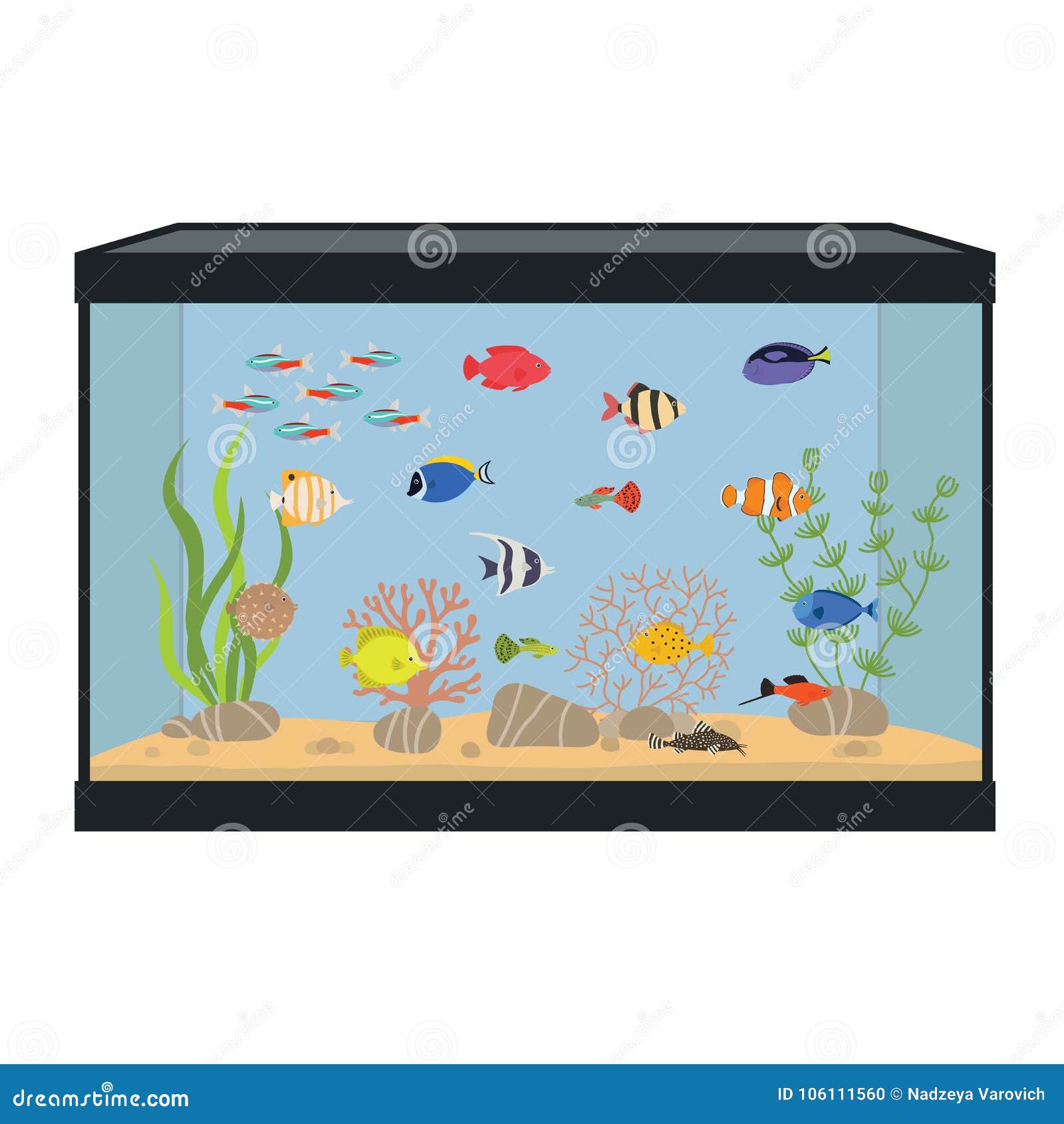 Rectangular Aquarium with Colorful Fish Stock Vector - Illustration of ...