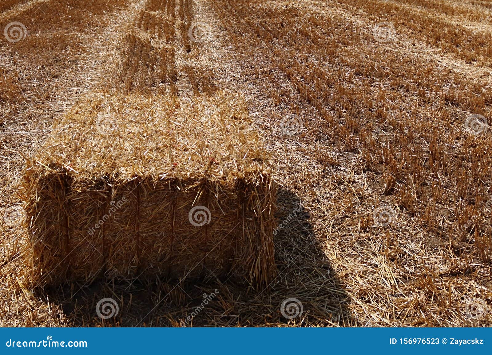 Rectangular Bale of Harvested Hay with Track of Hay Baling Mechanism in ...