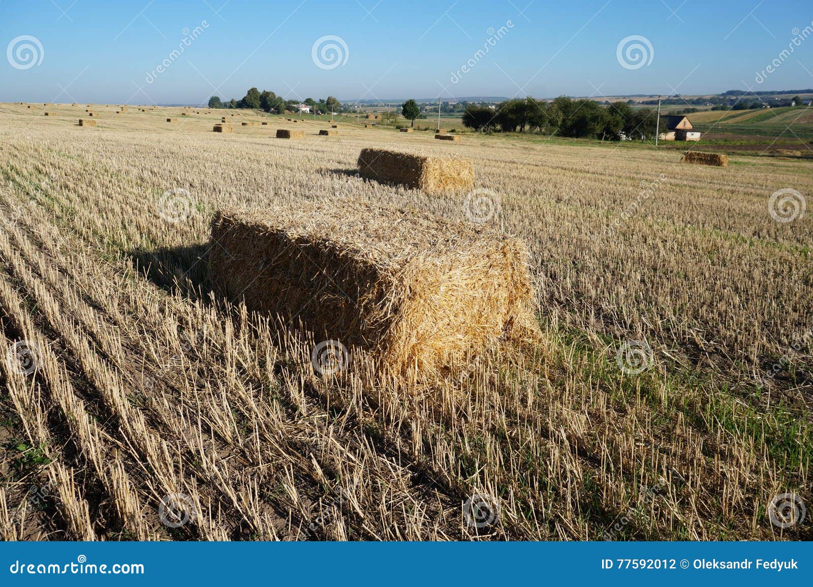 Rectangular Bale of Straw in the Field Stock Photo - Image of ...
