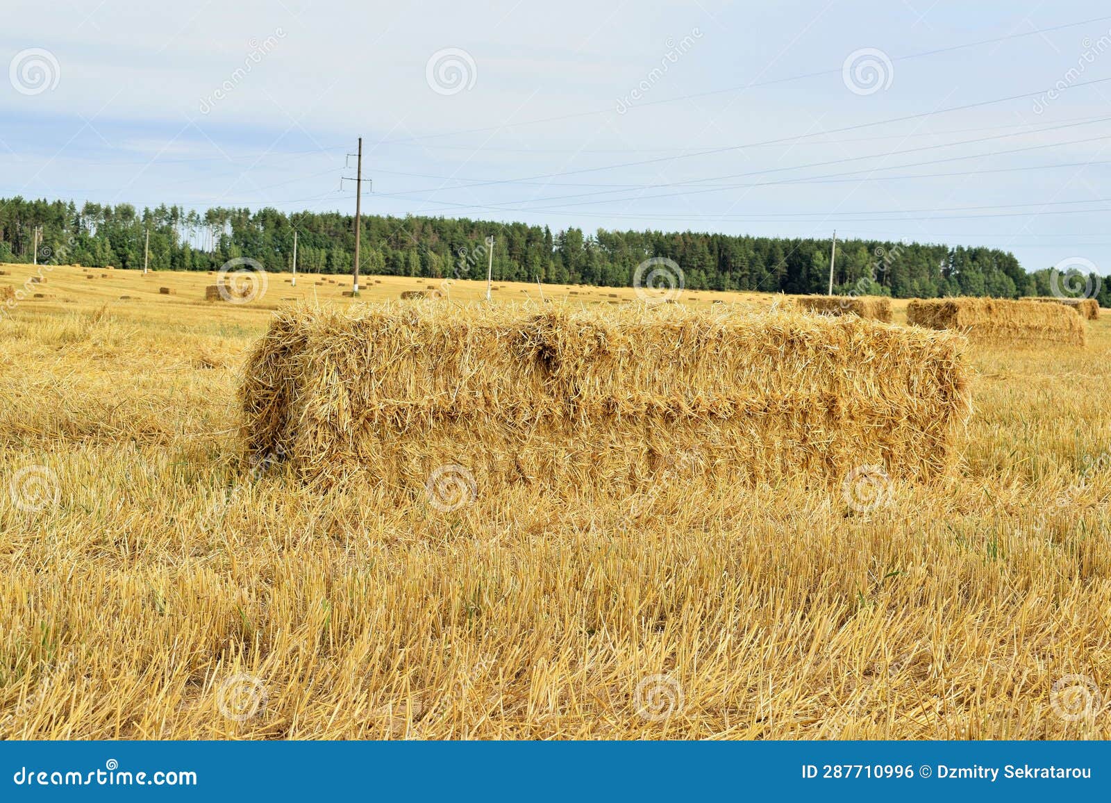 Rectangular Bale of Straw in the Field Stock Photo - Image of pasture ...