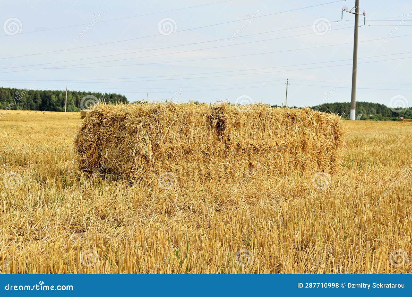 Rectangular Bale of Straw in the Field Stock Photo - Image of ...