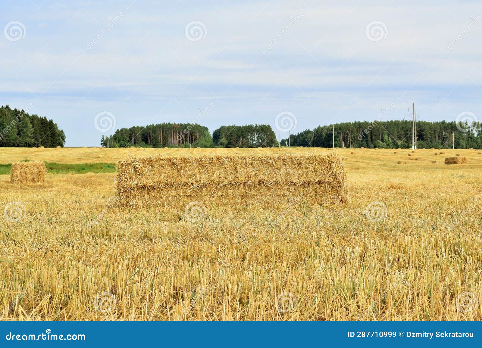 Rectangular Bale of Straw in the Field Stock Image - Image of bale ...