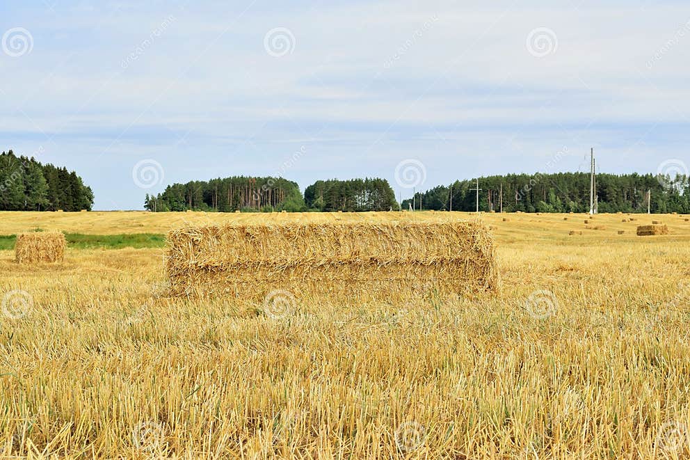 Rectangular Bale of Straw in the Field Stock Image - Image of bale ...