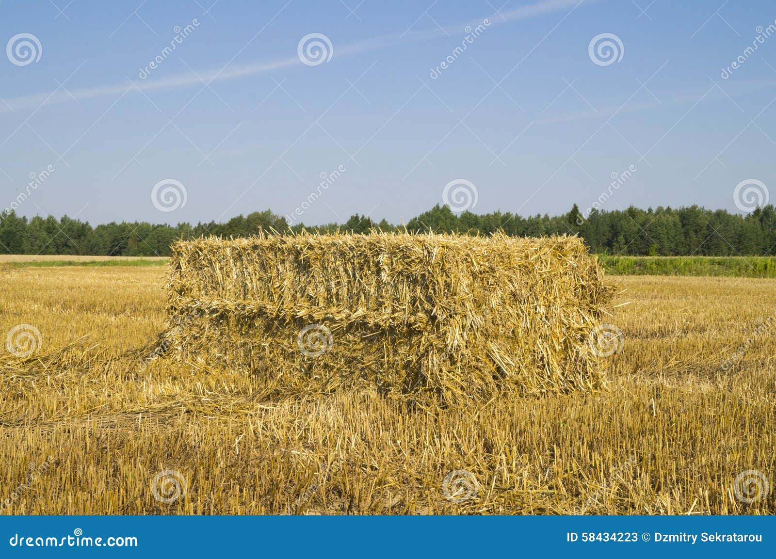 Rectangular Bale of Straw in the Field Stock Image - Image of industry ...