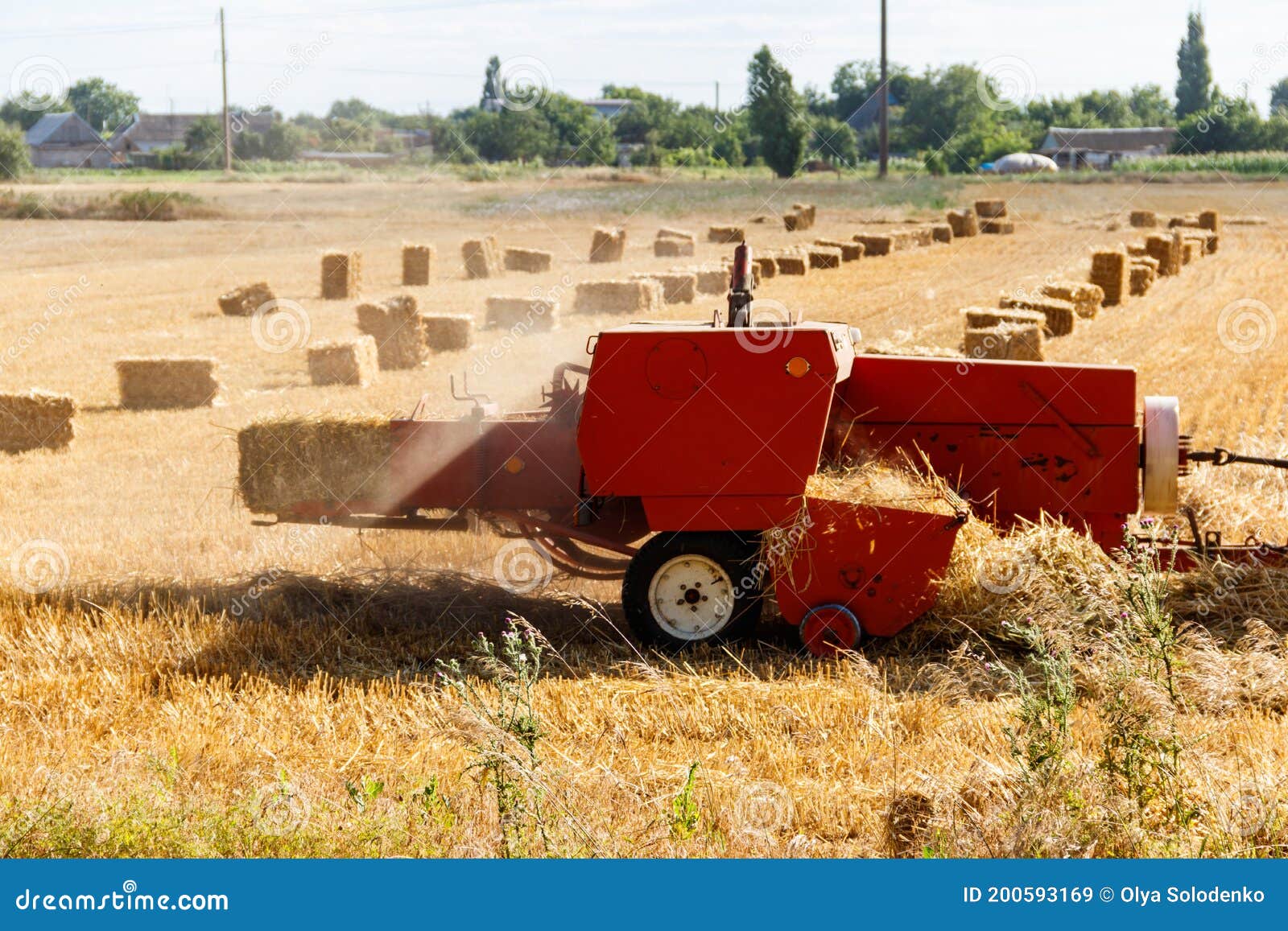 Rectangular Baler Discharges Straw Bale in a Field during the ...