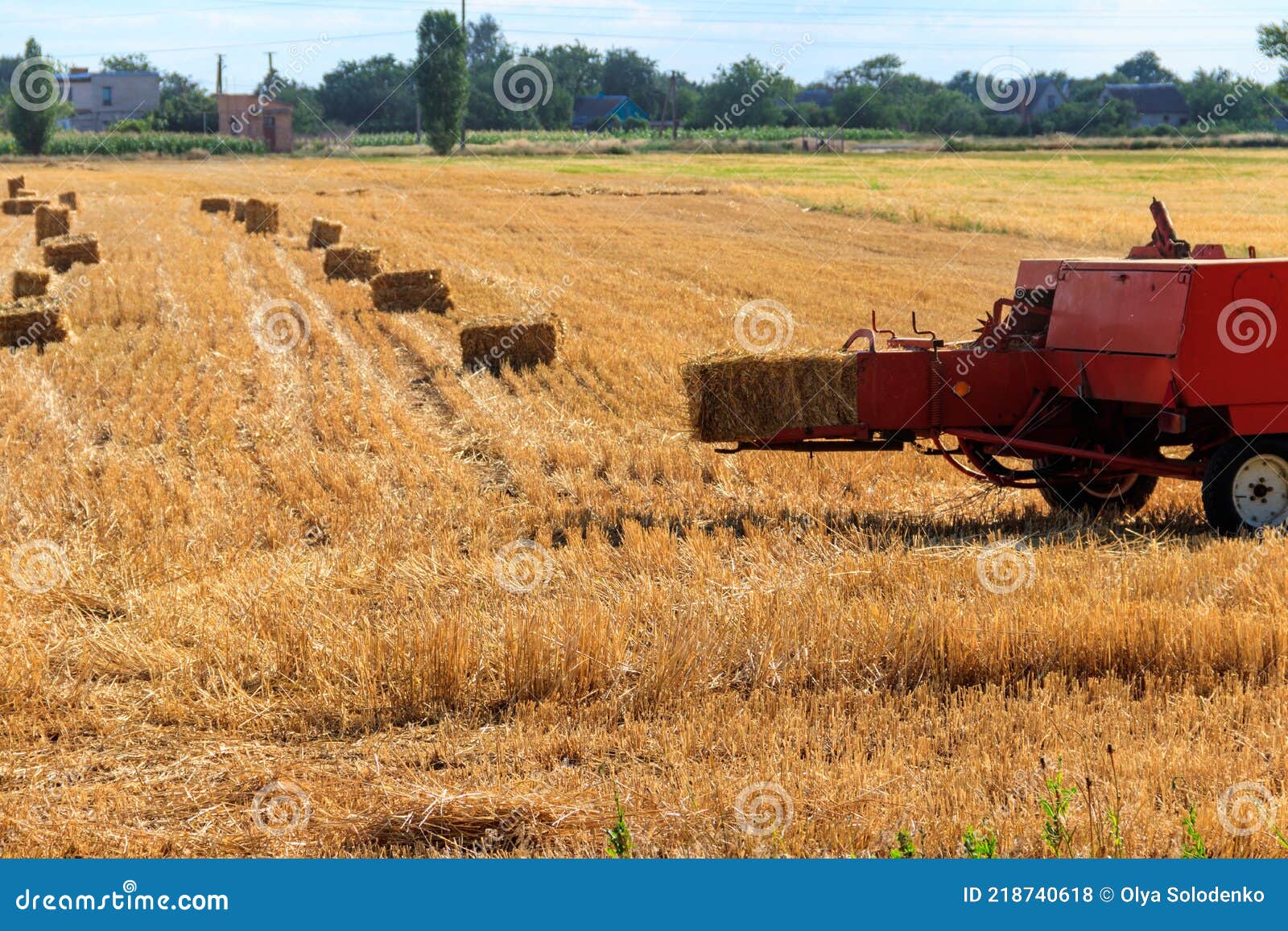Rectangular Baler Discharges Straw Bale in a Field during the ...