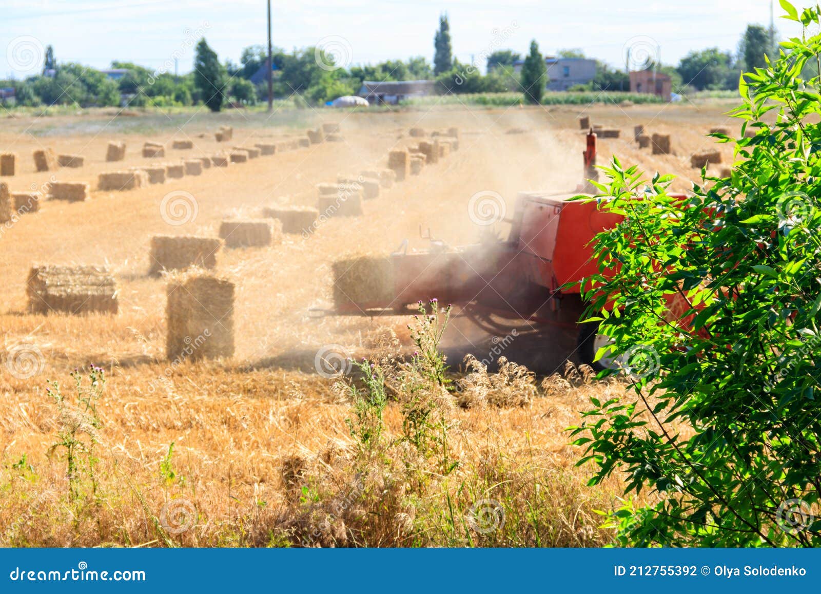 Rectangular Baler Discharges Straw Bale in a Field during the ...