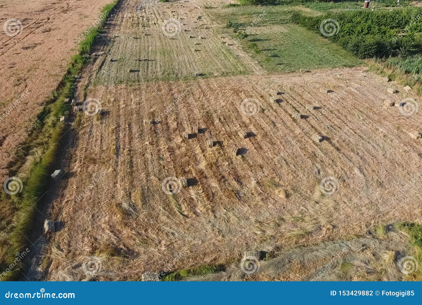 Rectangular Bales of Hay on the Field. Hay Stock Photo - Image of ...