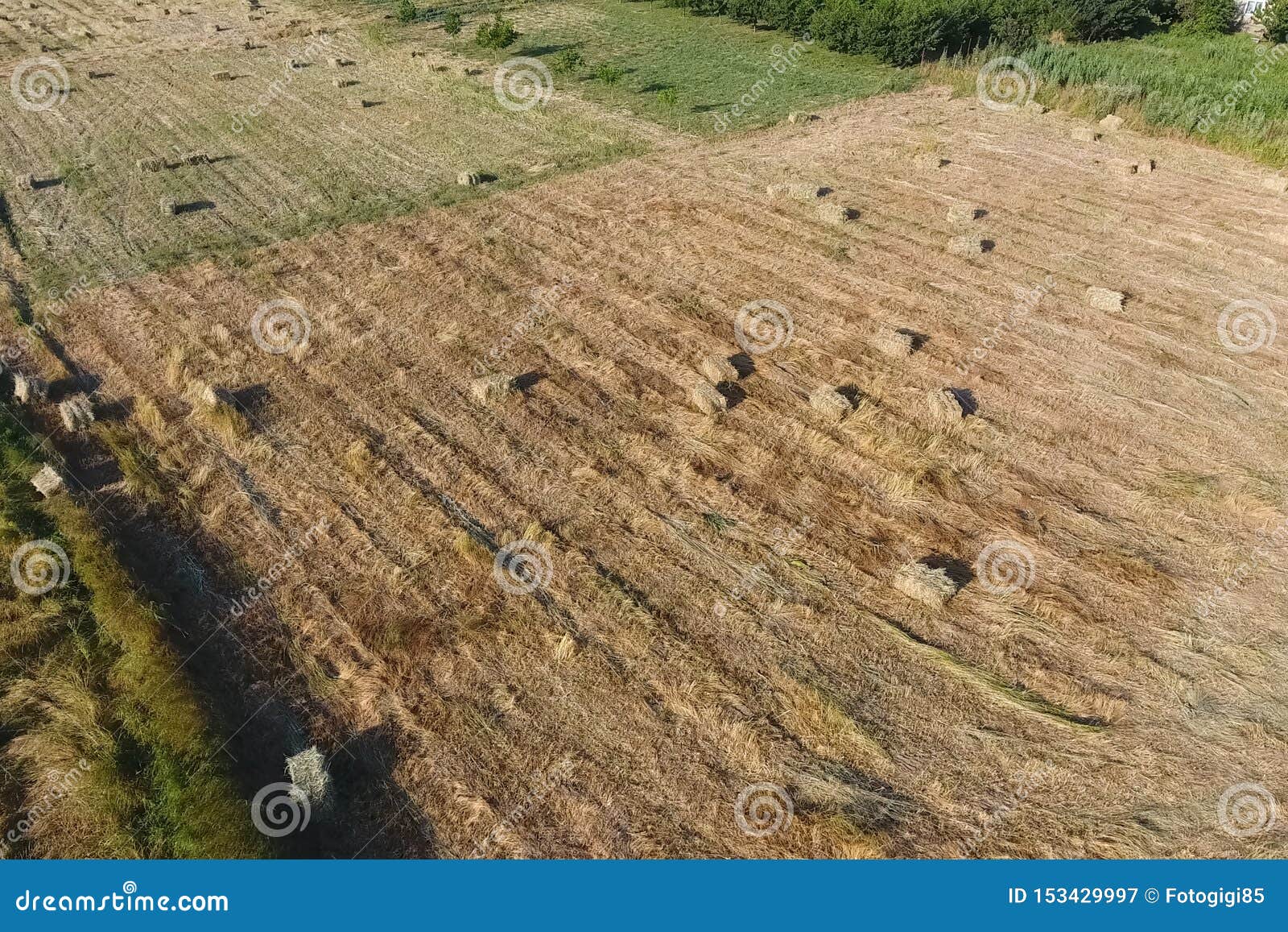 Rectangular Bales of Hay on the Field. Hay Stock Image - Image of blue ...