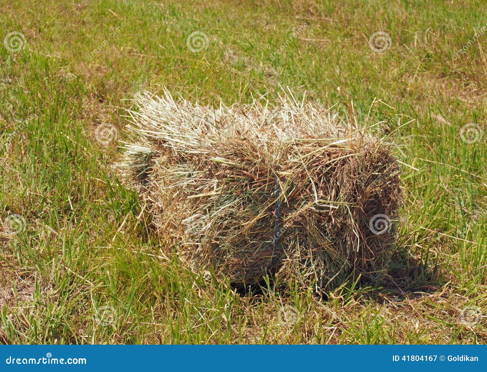 Rectangular Bales of Hay on the Field Stock Image - Image of country ...
