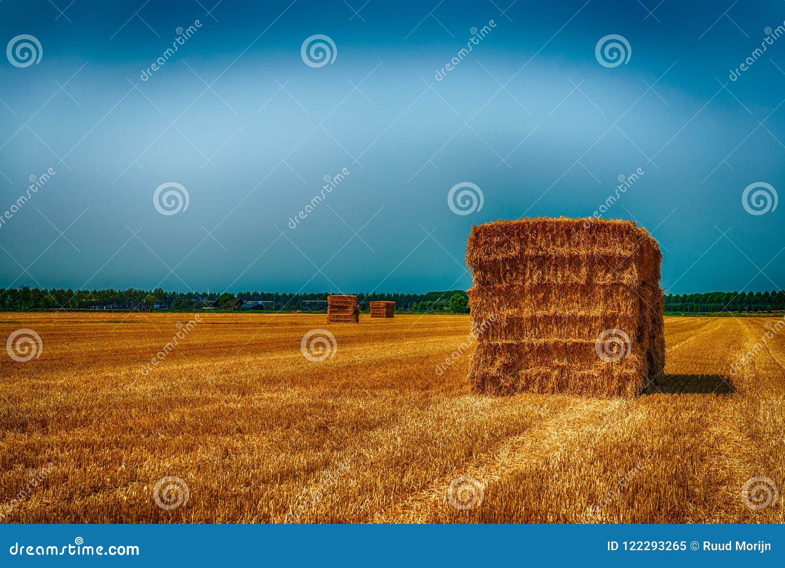 Rectangular Bales of Straw Stacked on a Stubble Field in Dramatic ...