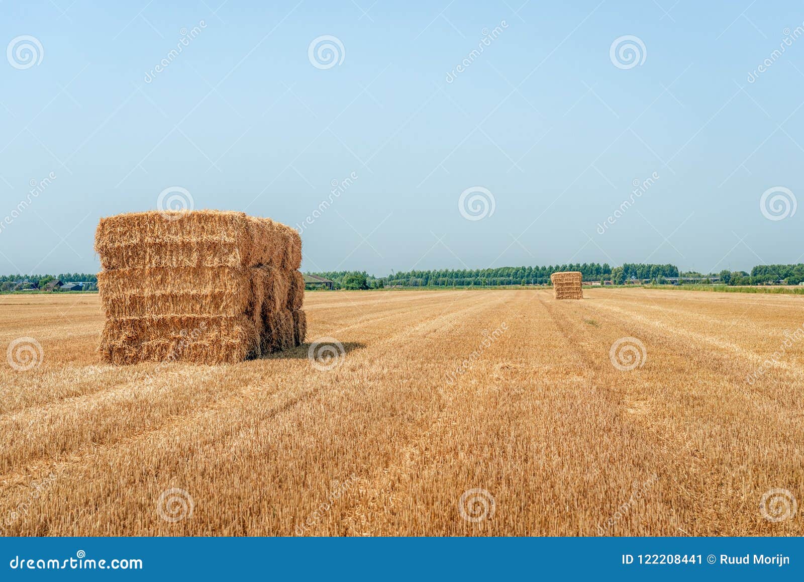 Rectangular Bales of Straw Stacked on a Stubble Field Stock Image ...