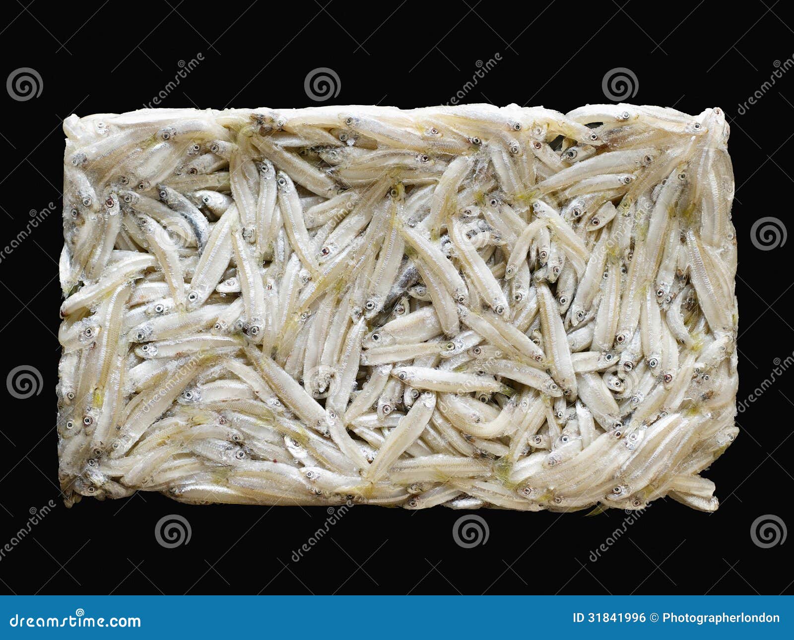 Rectangular Block of Dried Fish Stock Photo - Image of dead, fishery ...