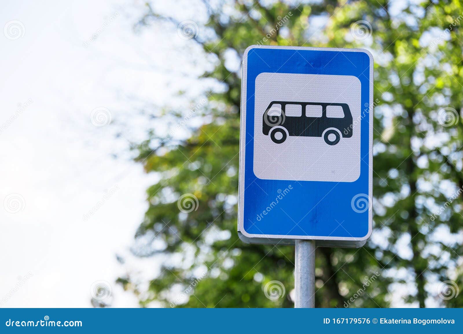 Rectangular Blue with White Square Road Sign Bus Stop Location Closeup ...