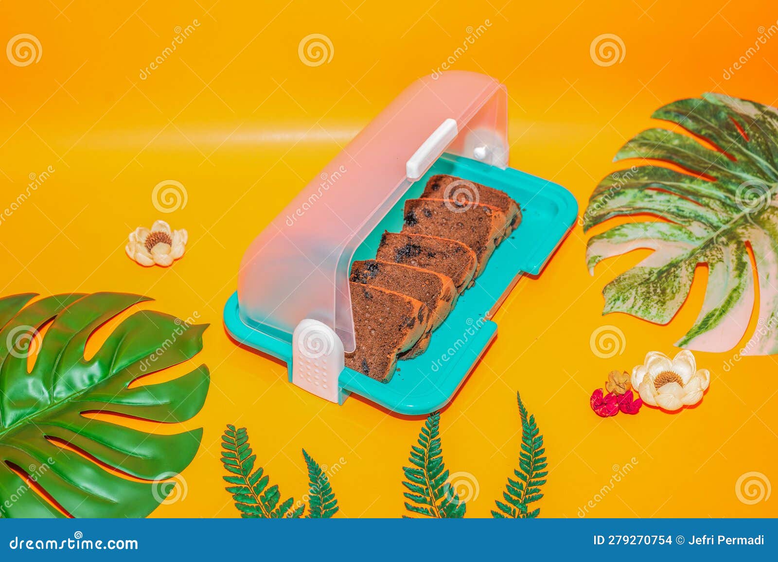 Rectangular Cake Container with Teal Lid Stock Photo - Image of locking ...