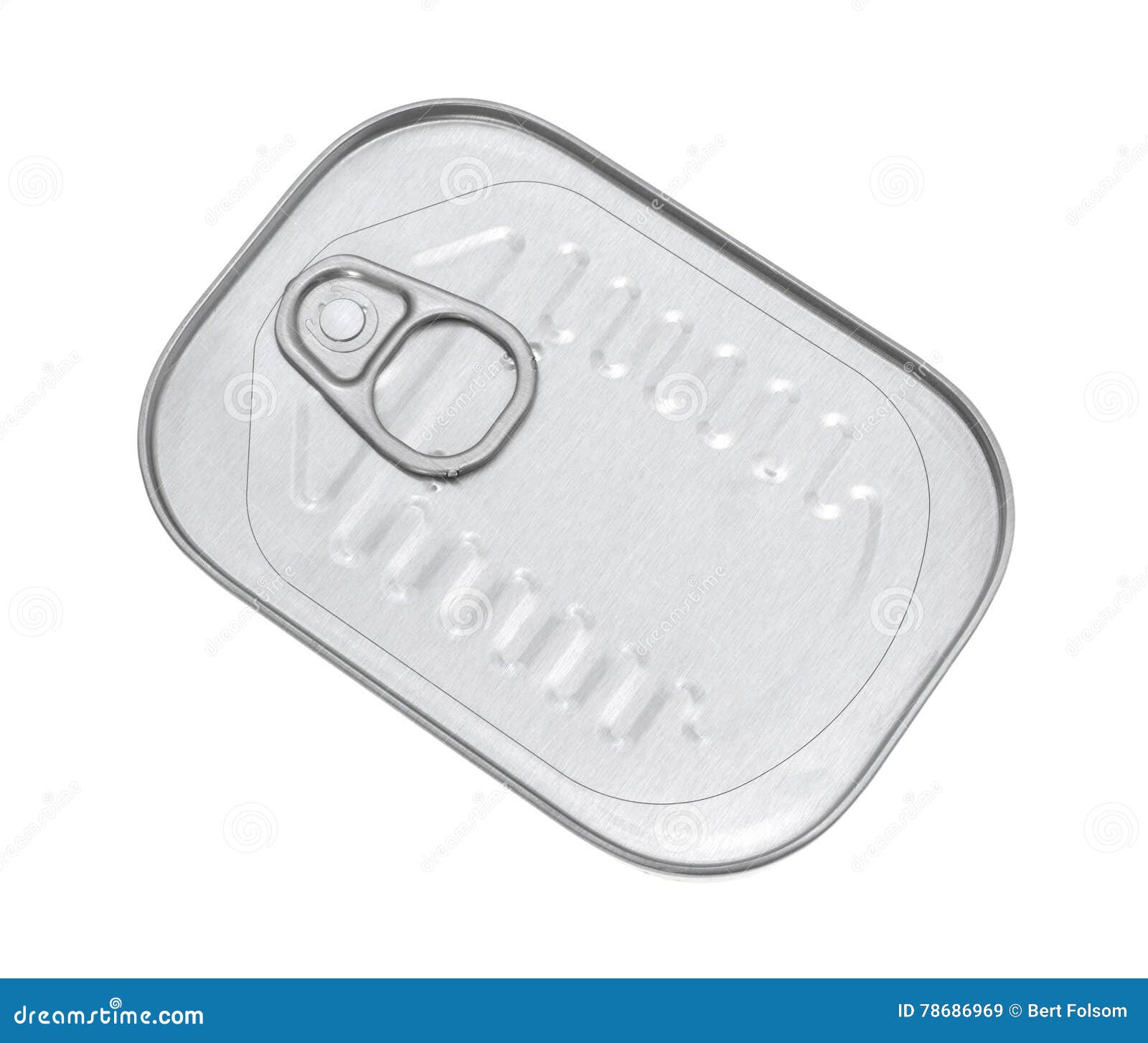 Rectangular Can of Food on a White Background. Stock Image - Image of ...