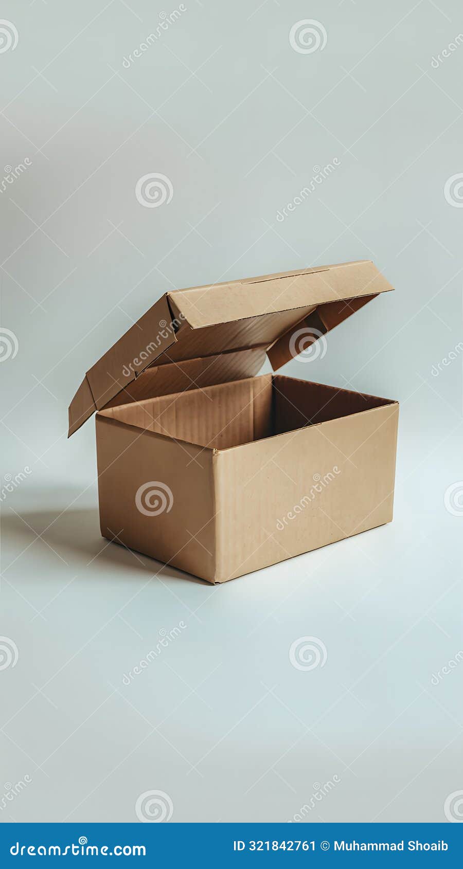 Rectangular Cardboard Box With Hinged Lid Open On White Background ...