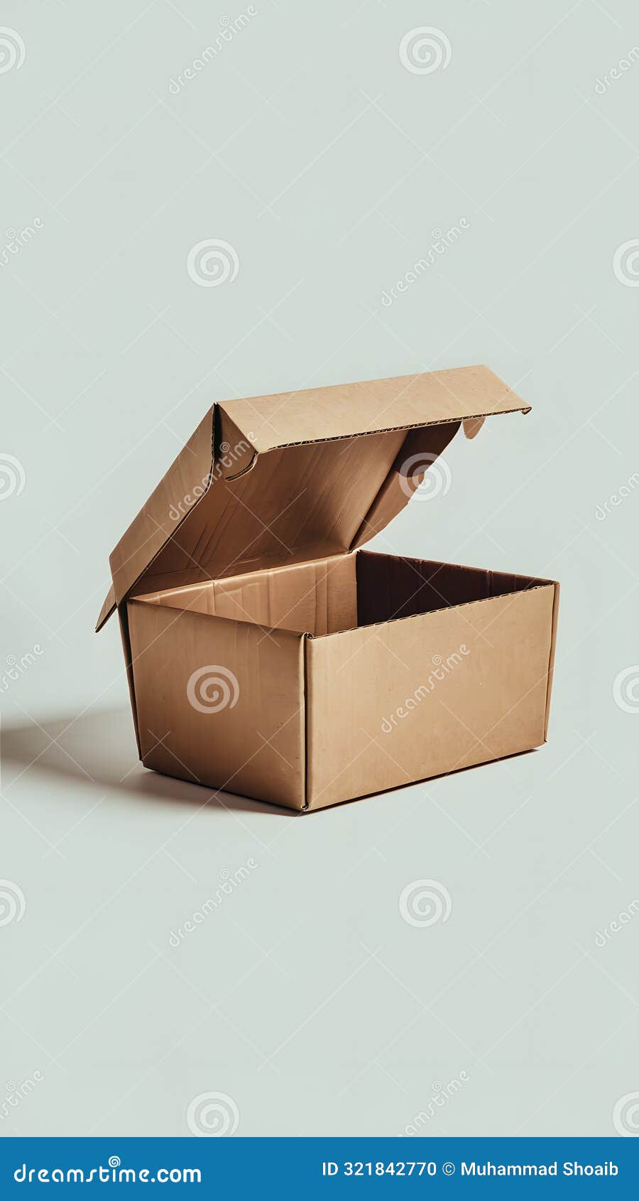 Rectangular Cardboard Box With Hinged Lid Open On White Background ...