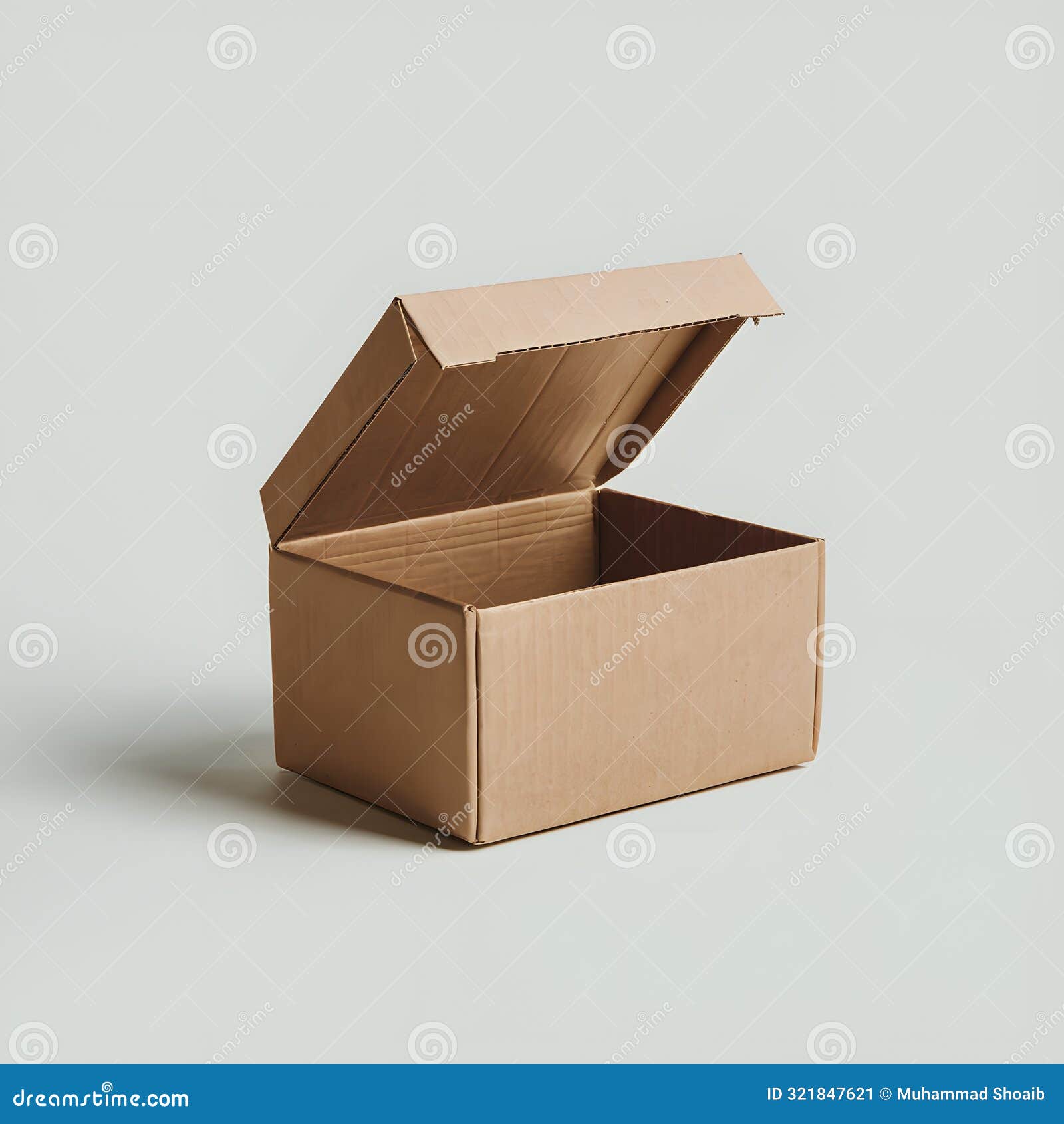 Rectangular Cardboard Box with Hinged Lid Open on White Background ...