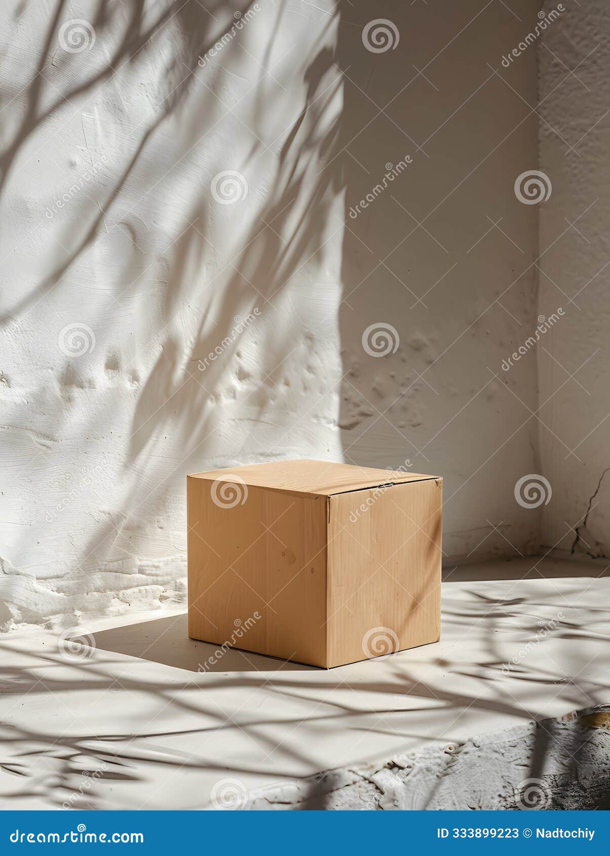 A Rectangular Cardboard Box Sits in a Corner on Hardwood Flooring Stock ...
