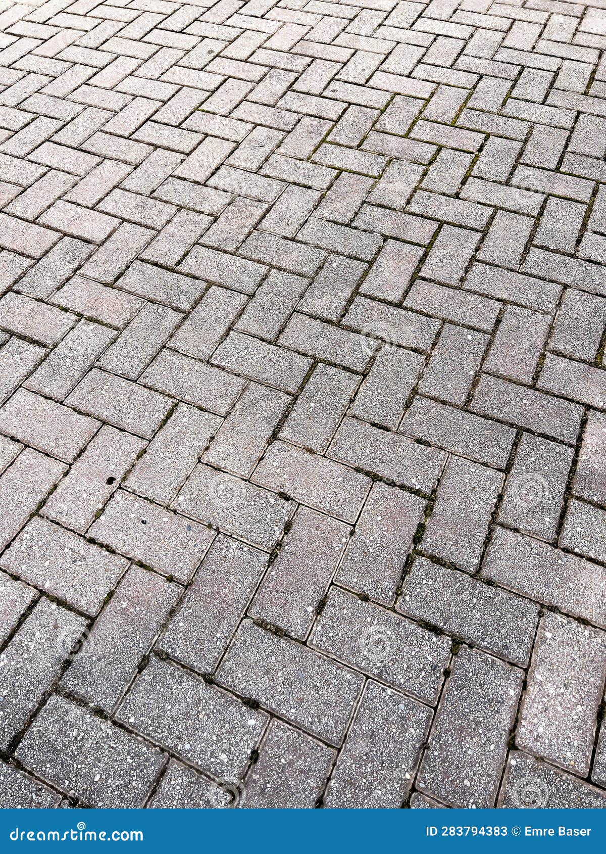 Rectangular Cement Pavers on a Road Stock Image - Image of sidewalk ...