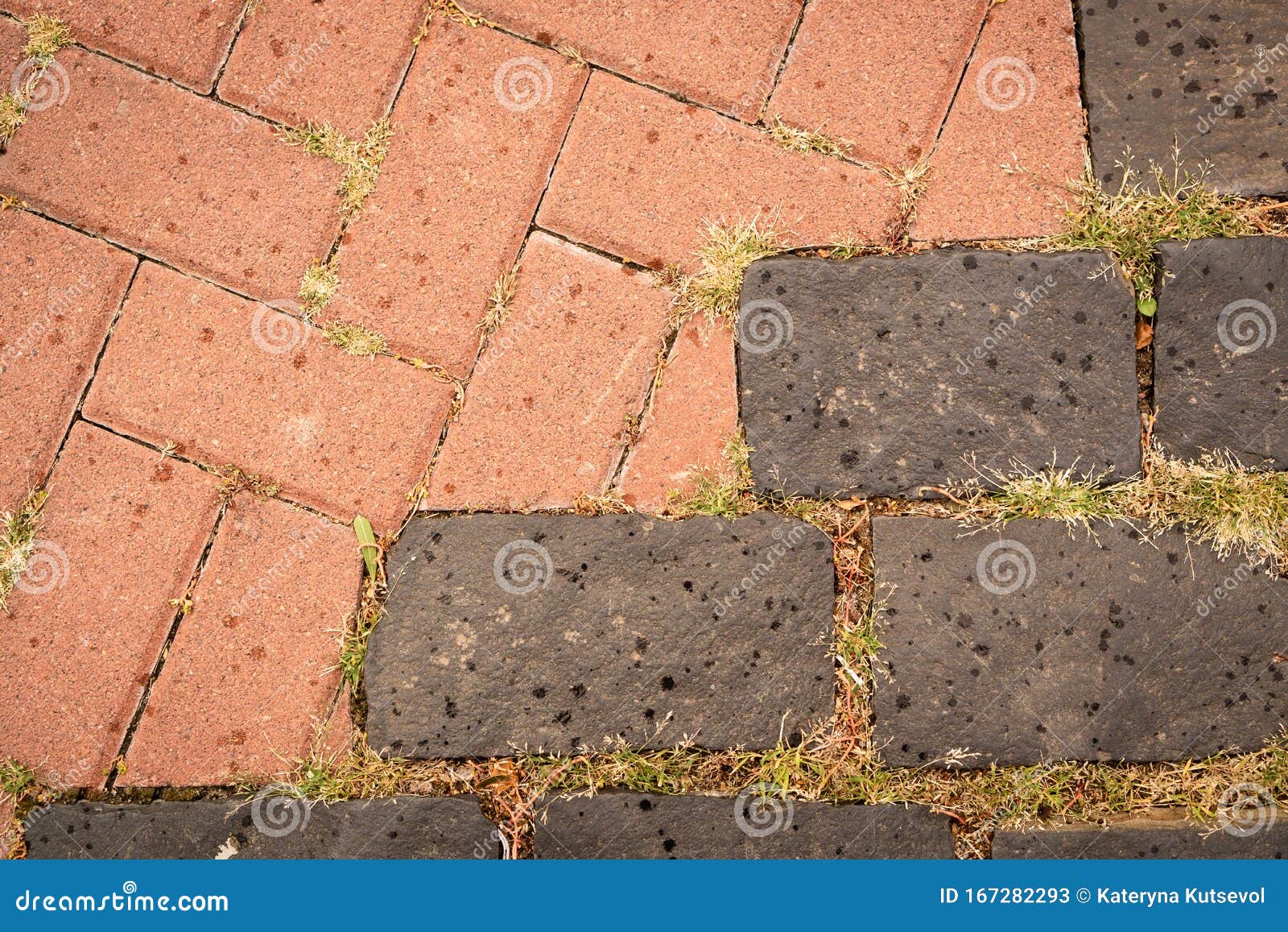 Rectangular Ceramic Tiles of Terracotta and Gray with Bunches of Green ...