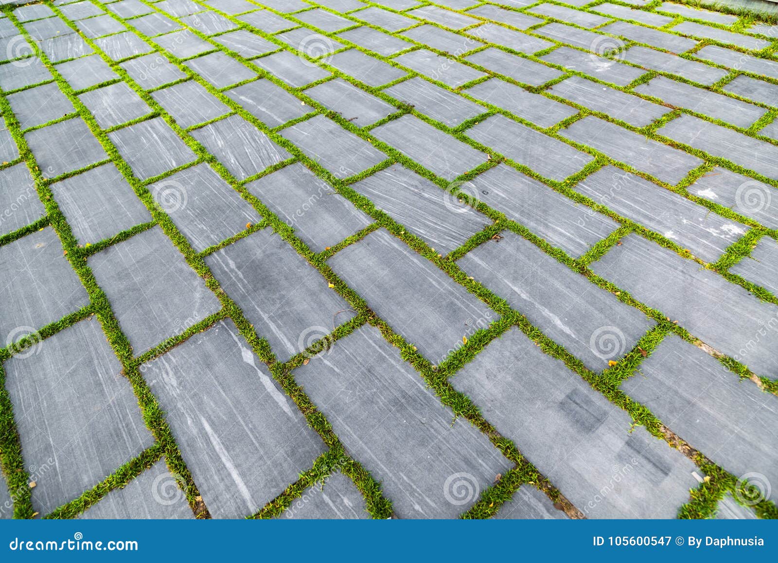 Rectangular Concrete Pavement Stock Image - Image of city, park: 105600547