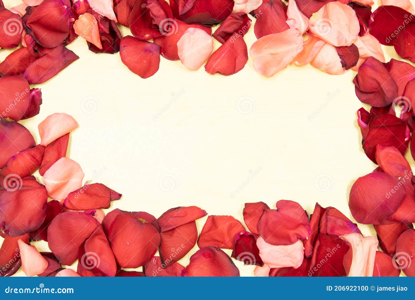 Rectangular Copy Space on Yellowish Wood Formed by Petals of Pink and ...
