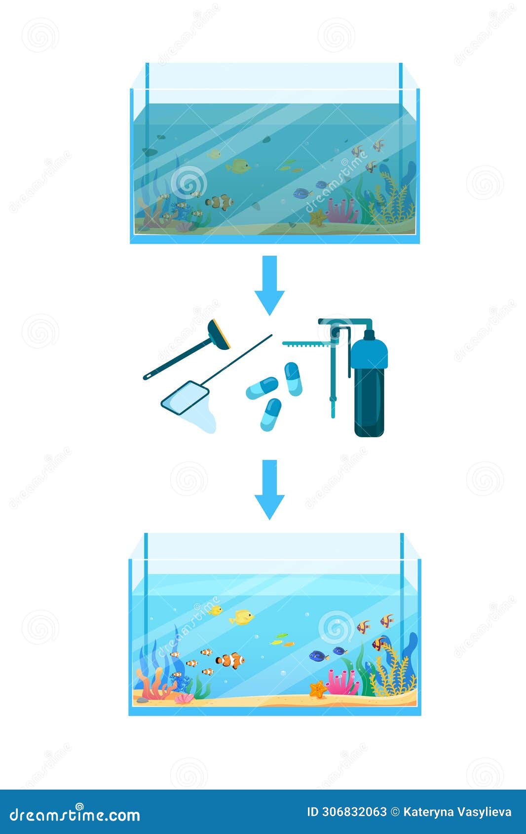 Rectangular Fish Tank with Dirty and Clean Fresh Water Stock Vector ...