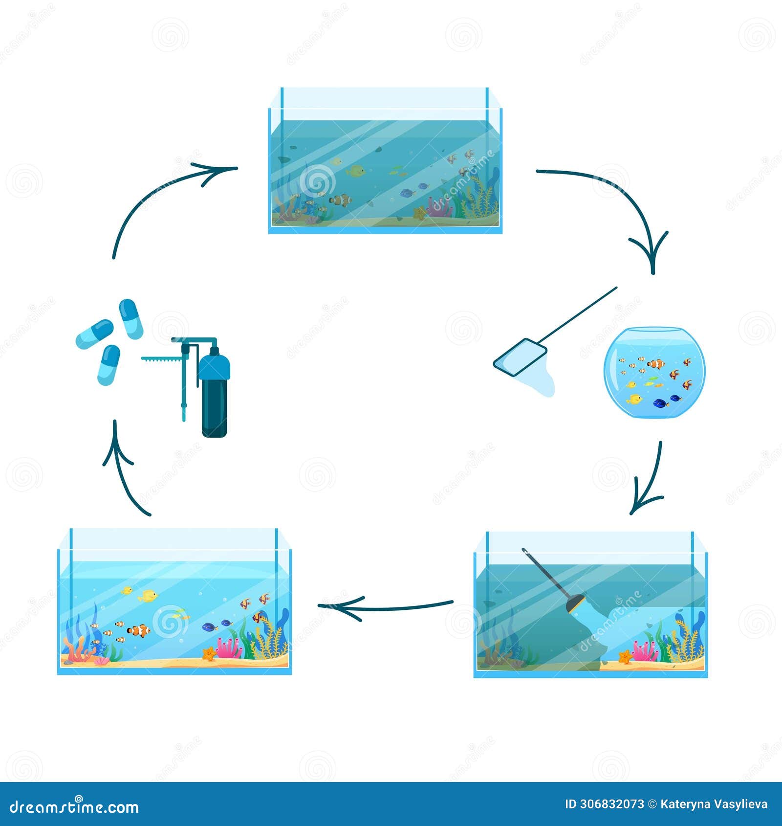 Rectangular Fish Tank with Dirty and Clean Fresh Water. Stock ...