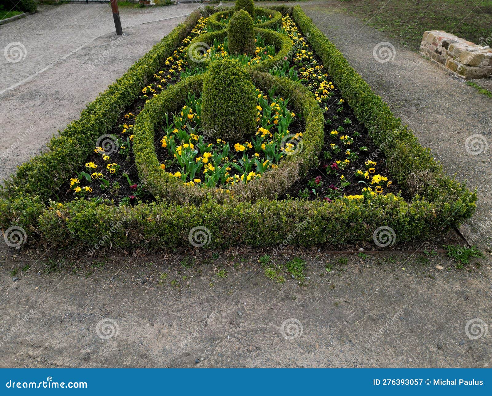 Rectangular Flowerbed Bordered and Divided by a Boxwood Hedge Stock ...
