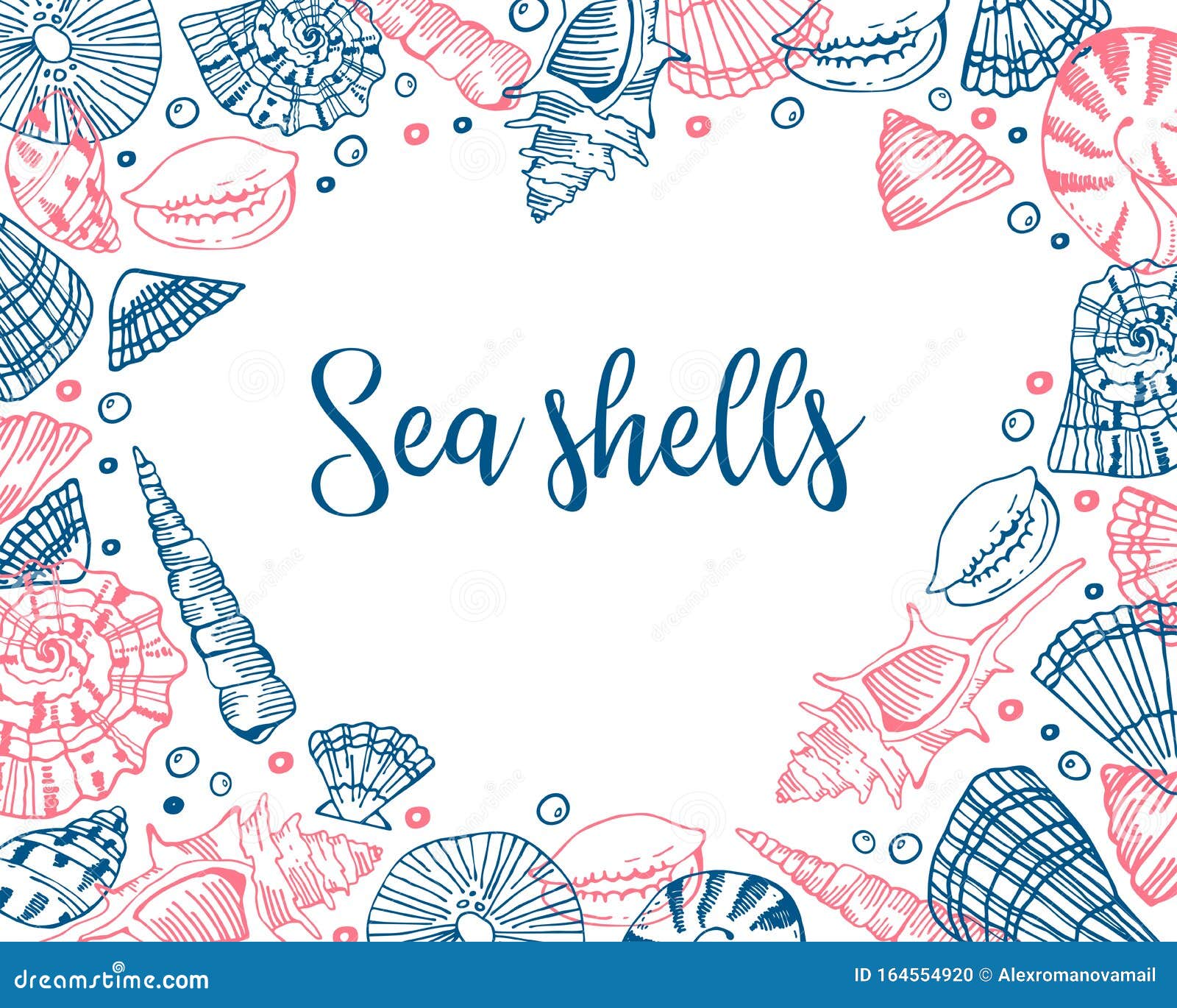 Rectangular Frame With Cartoon Seashells. Hand Drawn Outline Vector ...