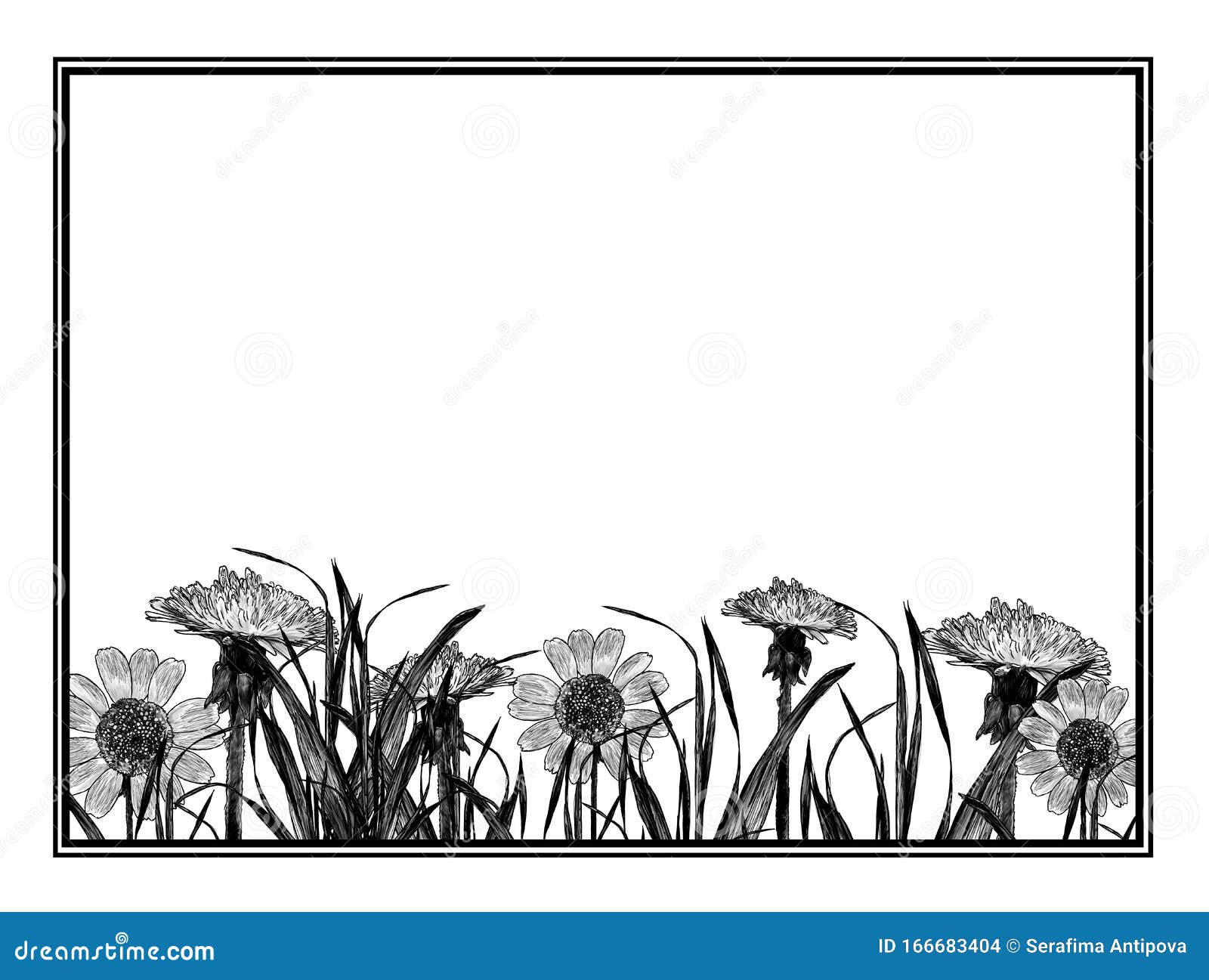 Rectangular Frame Decorated with Grass and Flowers of Chamomile and ...