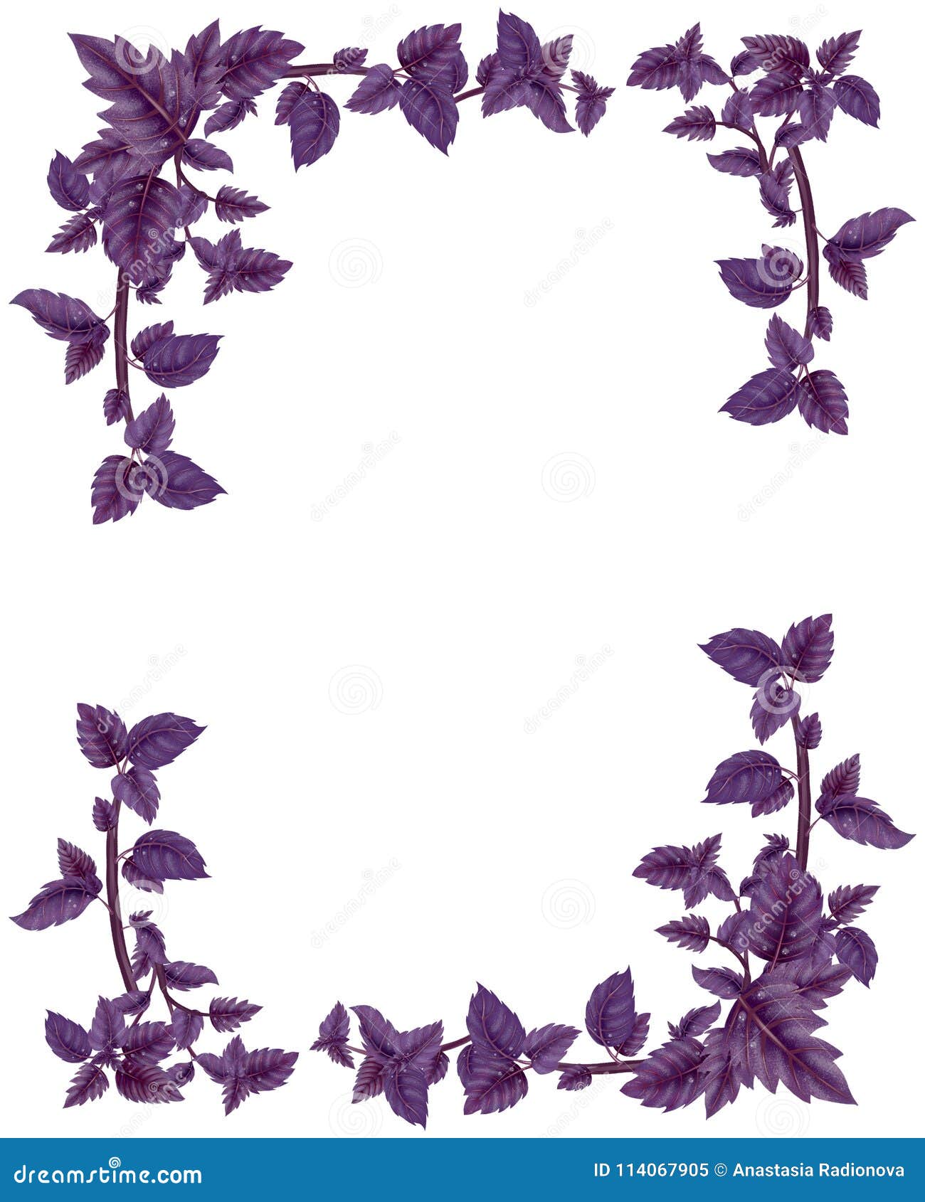 Rectangular Frame, a Decoration of Basil Leaves. Stock Illustration ...