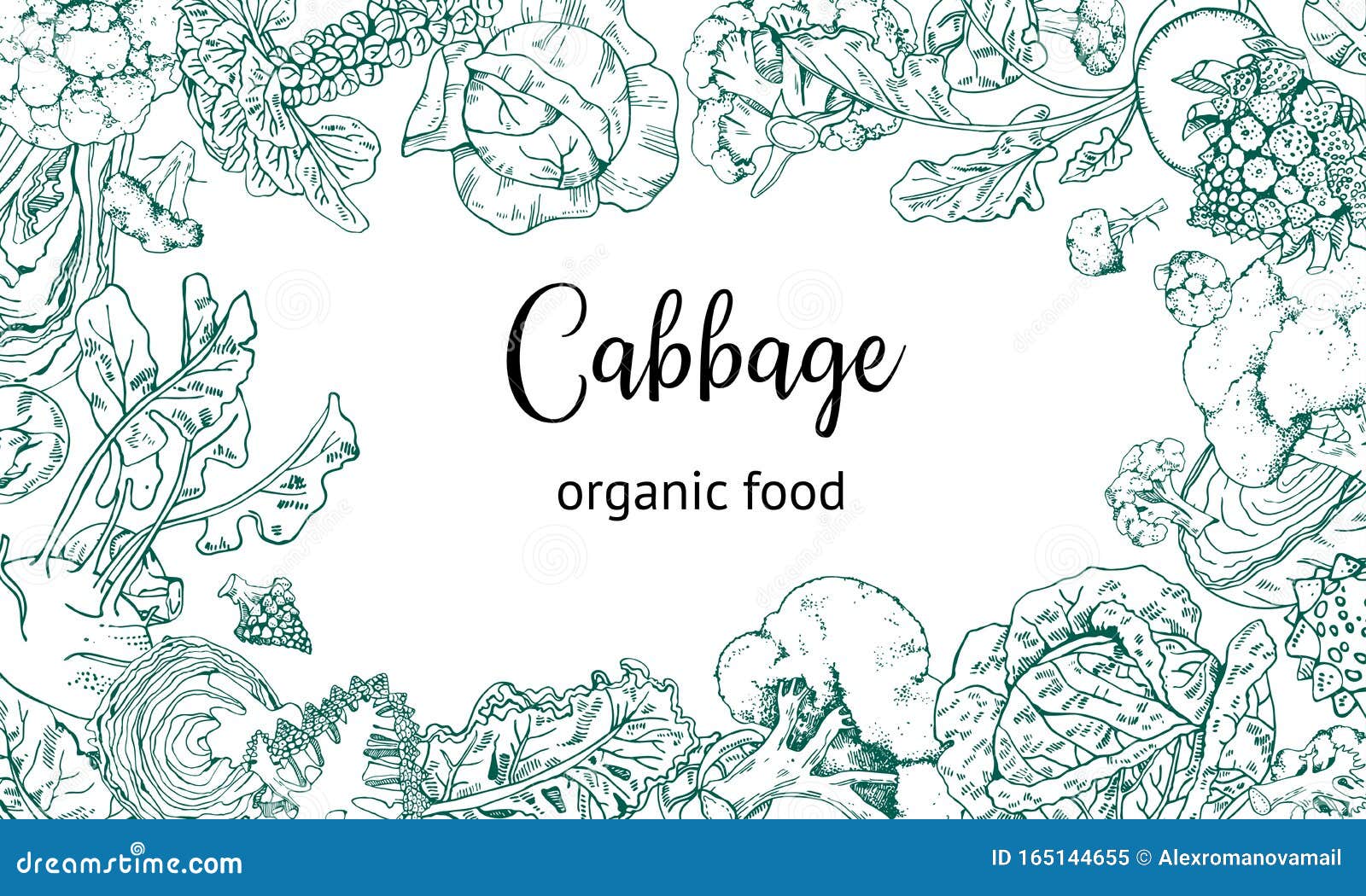 Rectangular Frame Design Template With Different Cabbage. Hand Drawn ...