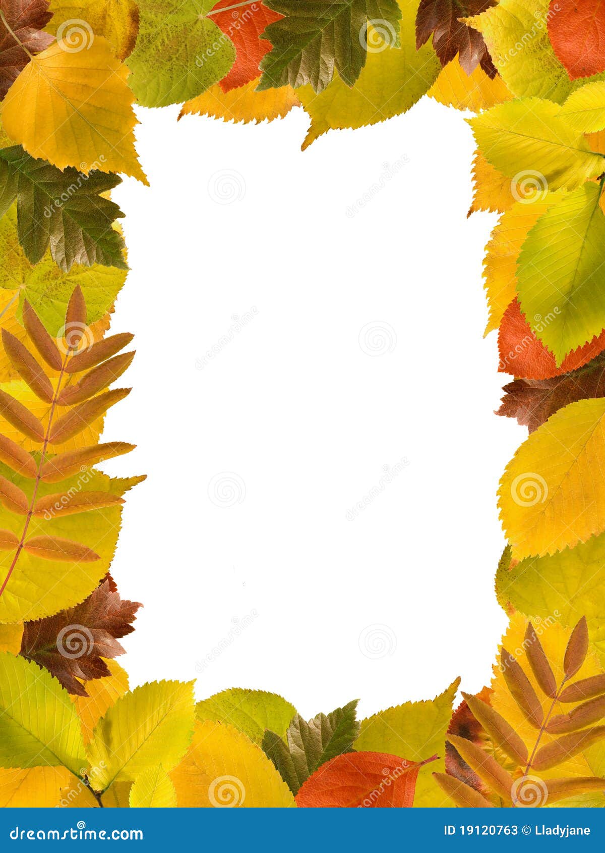 Rectangular Frame of Different Autumn Leaves Stock Image - Image of ...