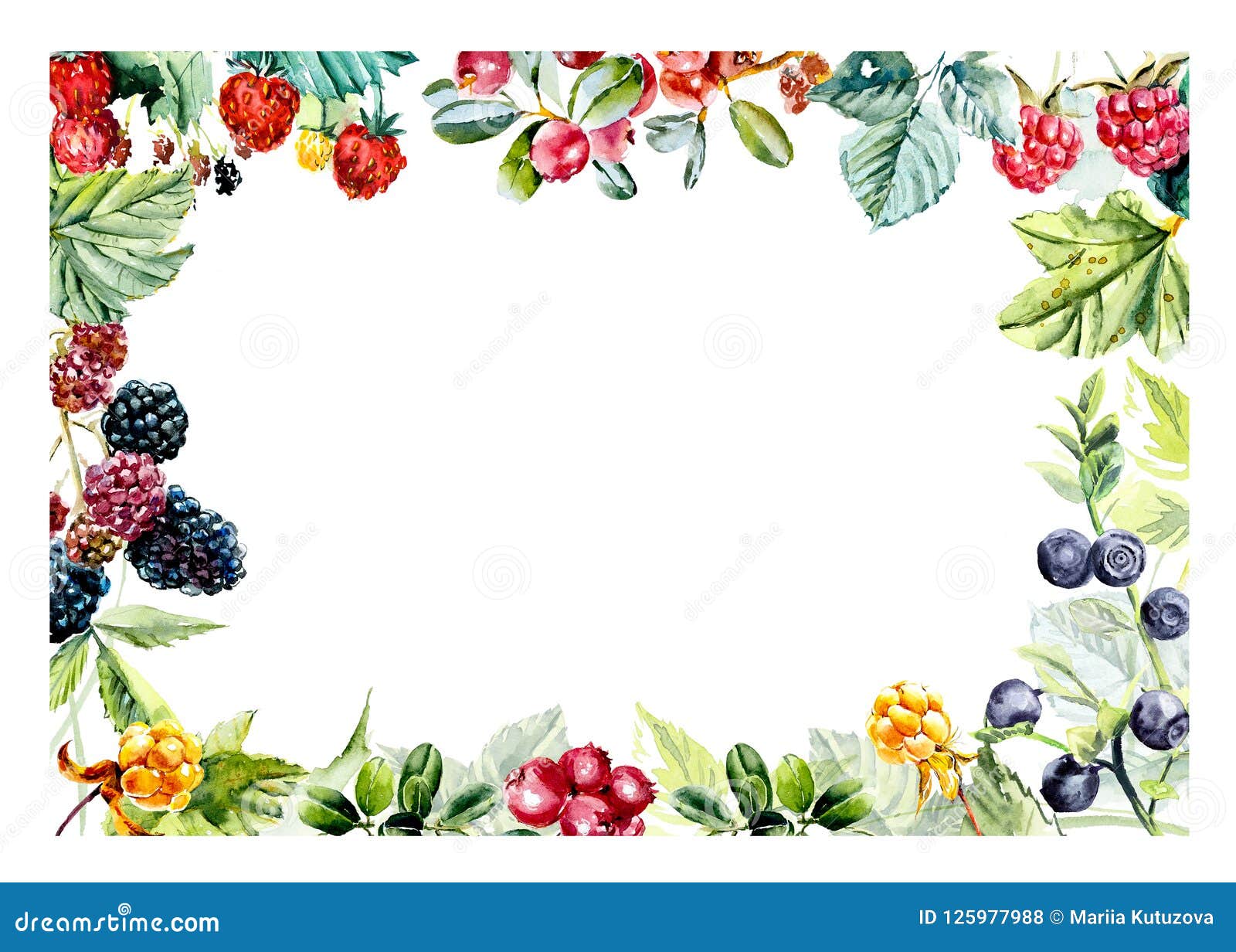 Frame from Berries. Watercolor Hand Drawn Illustration Stock ...