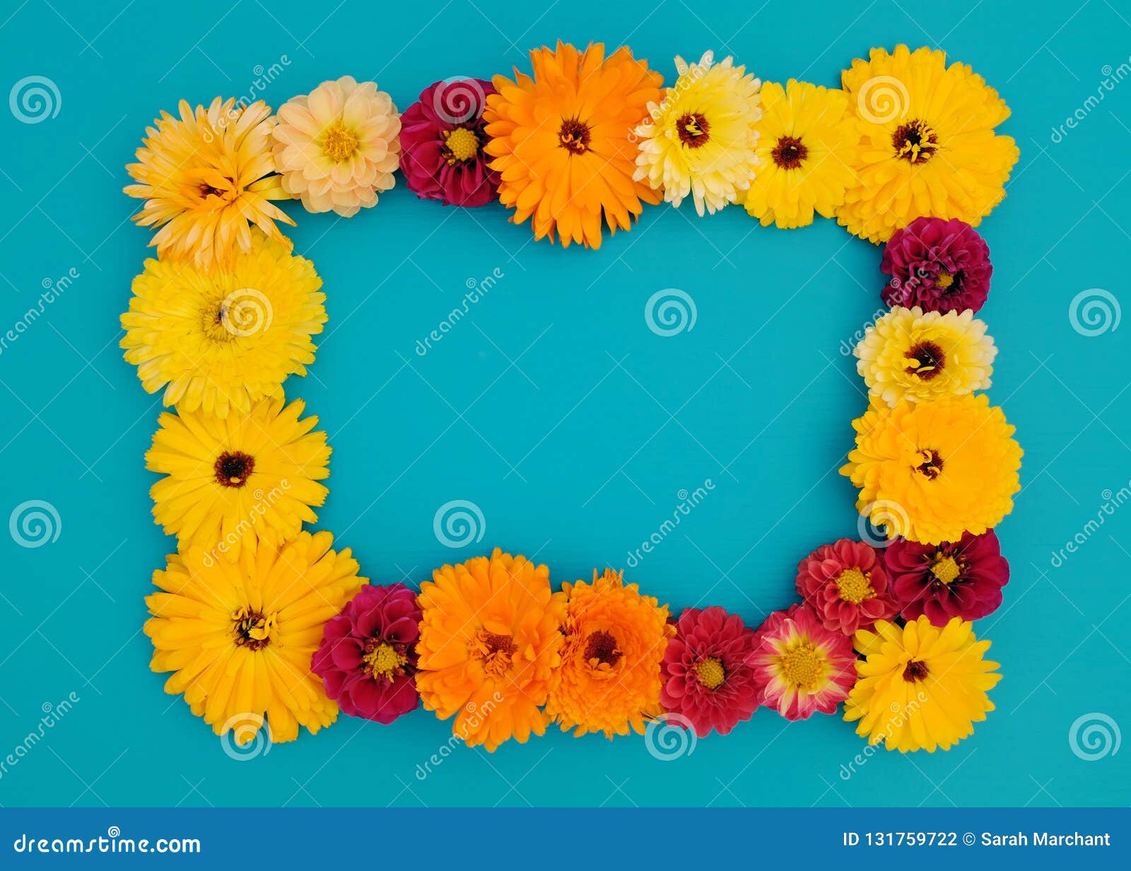 Rectangular Frame of Flowers on Painted Blue Background Stock Photo ...