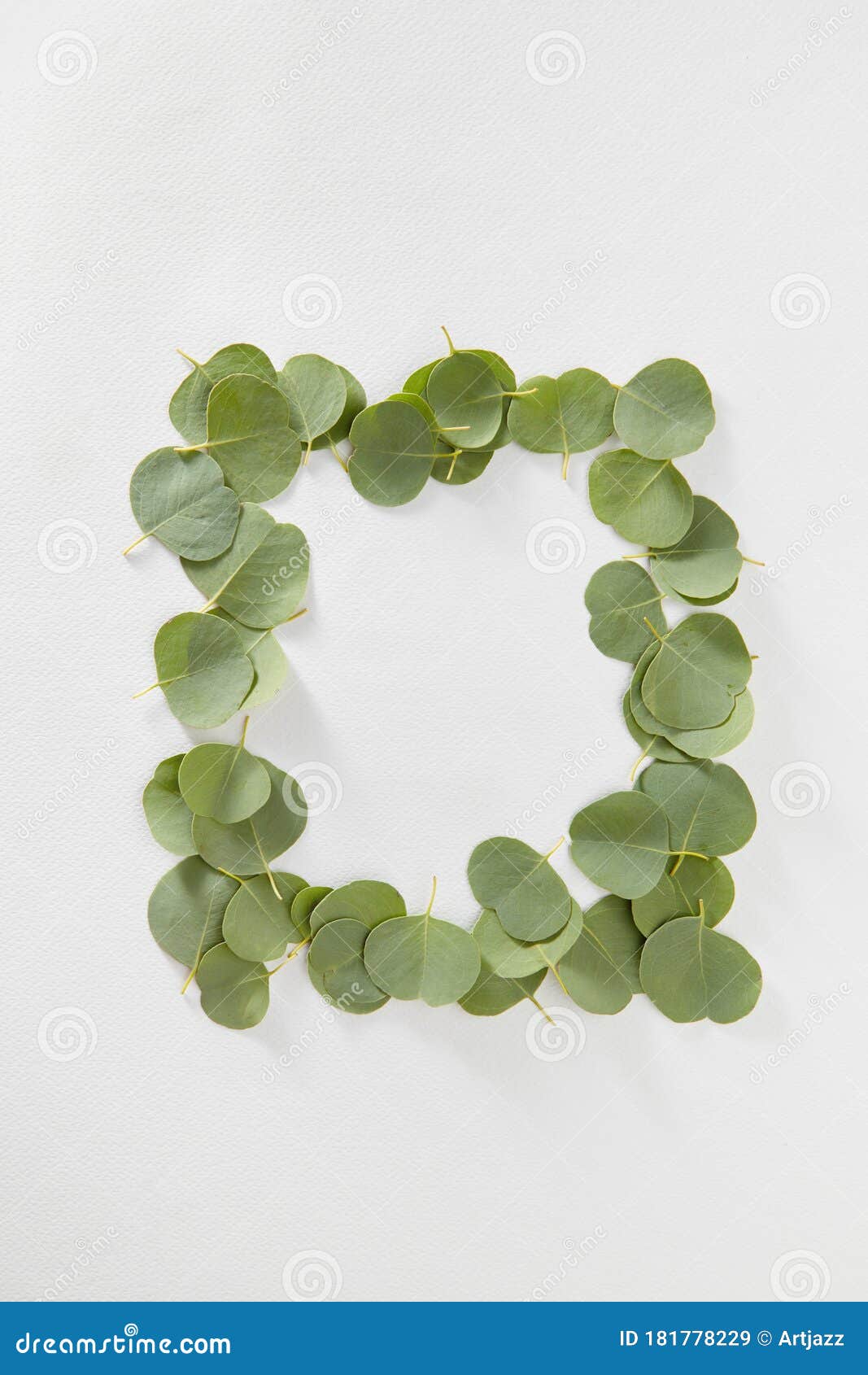 Rectangular Frame from Green Leaves of Eucalyptus Plant. Stock Image ...