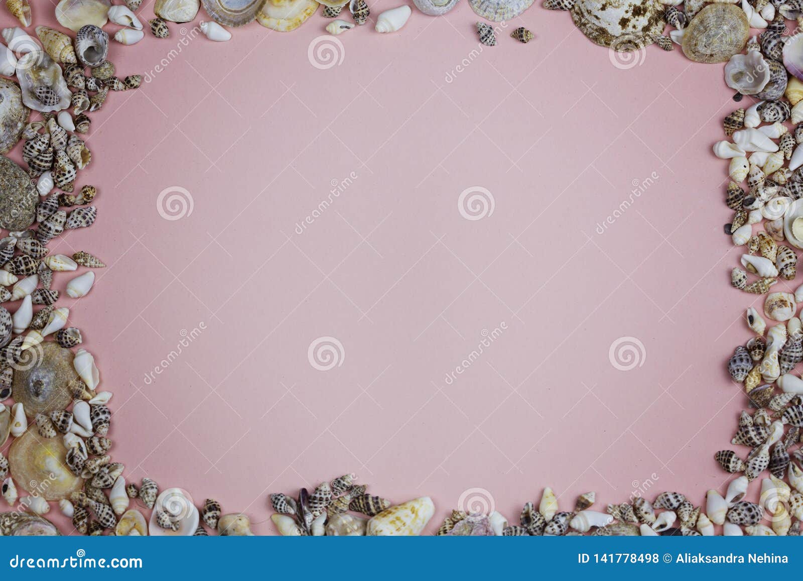 The Rectangular Frame is Lined with Seashells on a Pink Background ...
