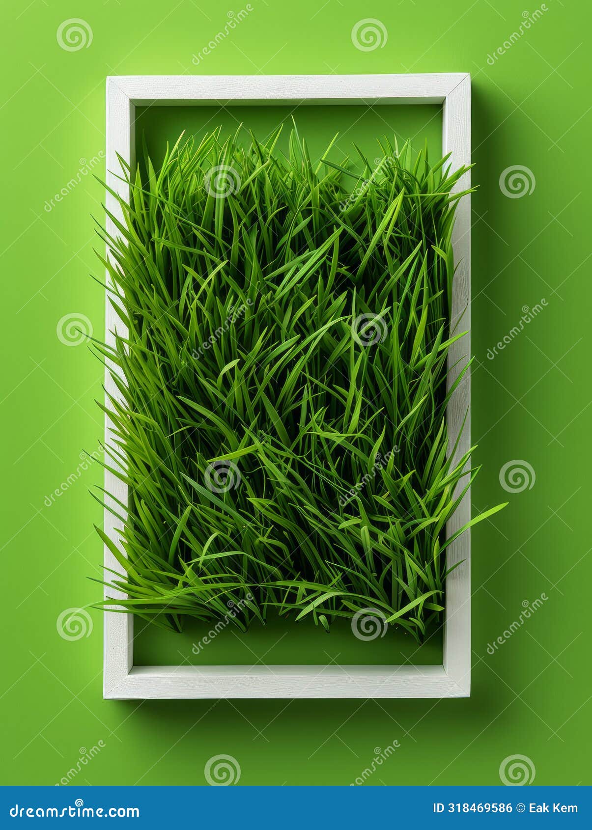 Rectangular Frame of Lush Green Grass Against a Fresh Green Background ...