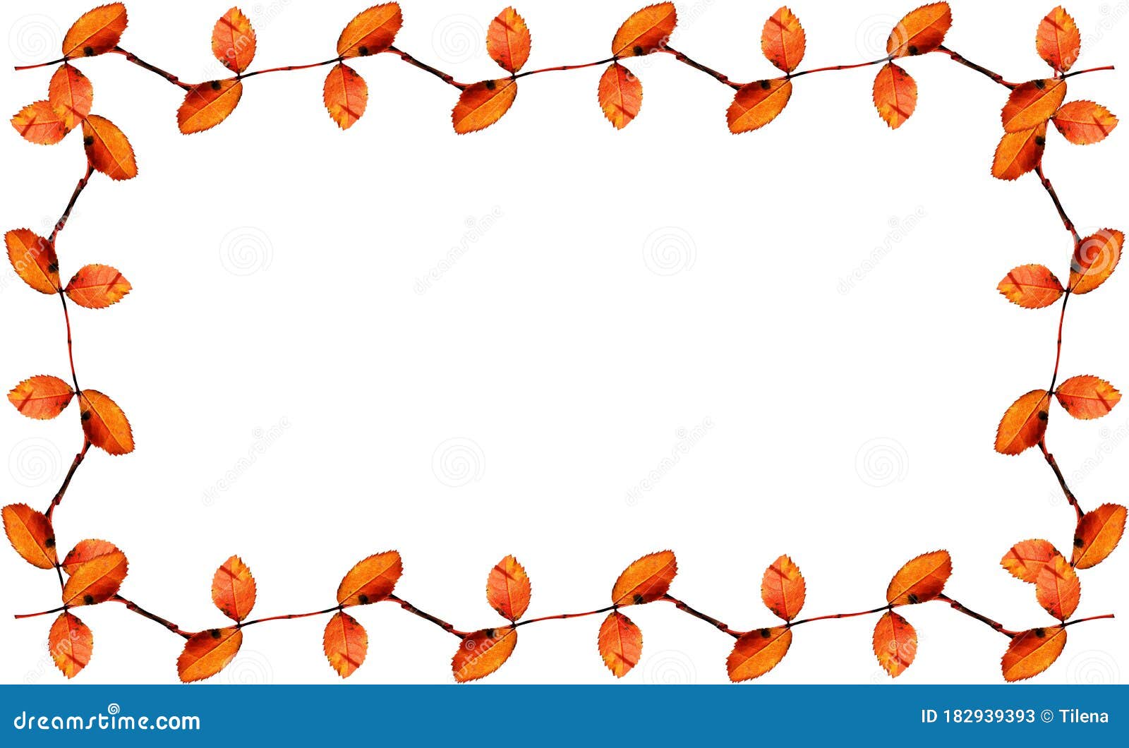 Rectangular Frame Made of Orange Leaves Stock Illustration ...