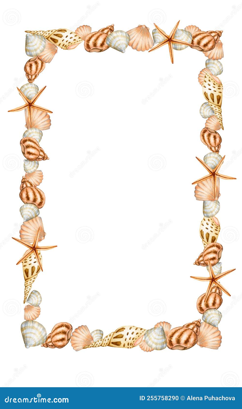Rectangular Frame with Seashells. Stock Photo - Image of print ...