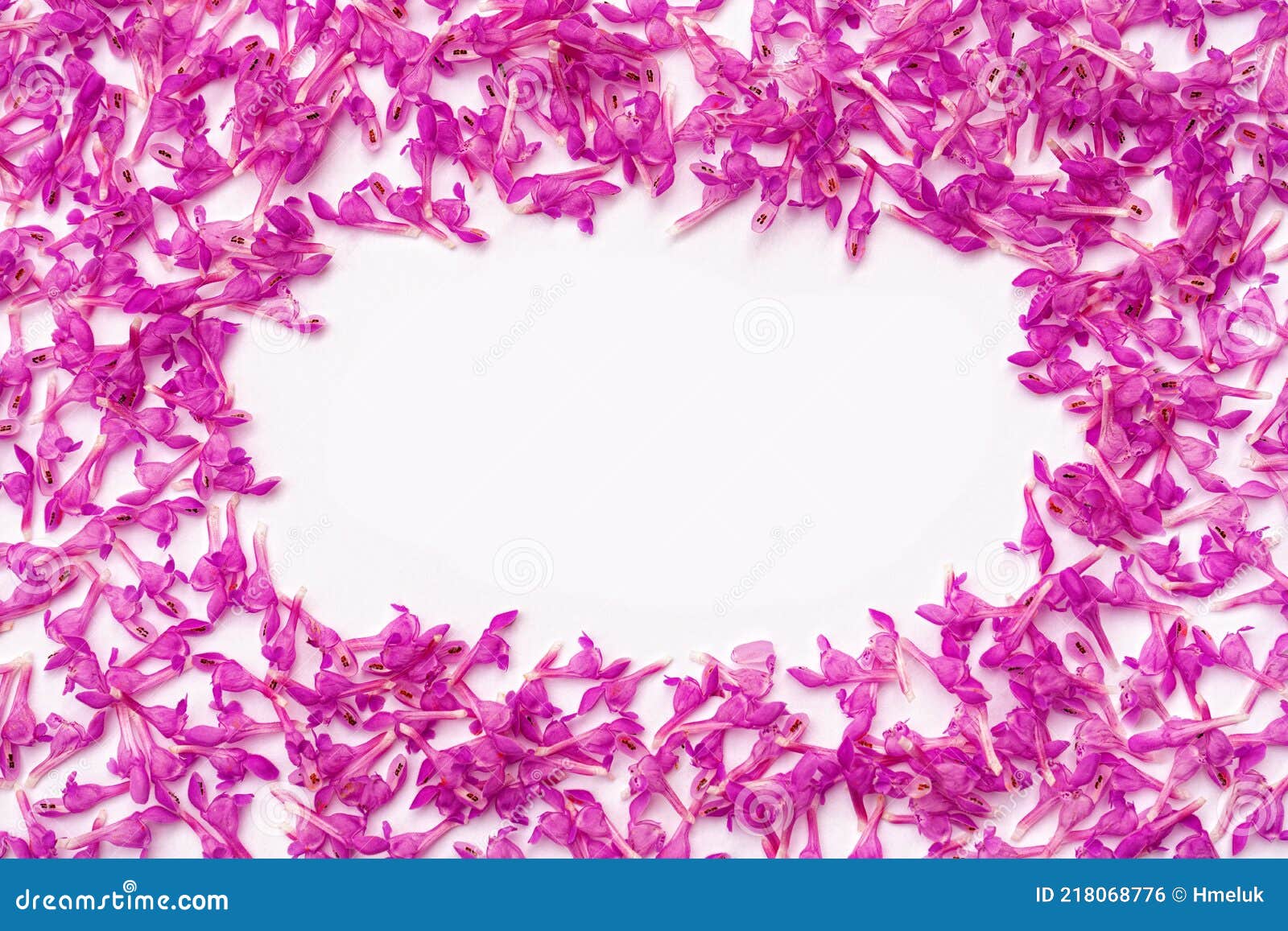 Rectangular Frame of Small Pink Spring Flowers Stock Photo - Image of ...