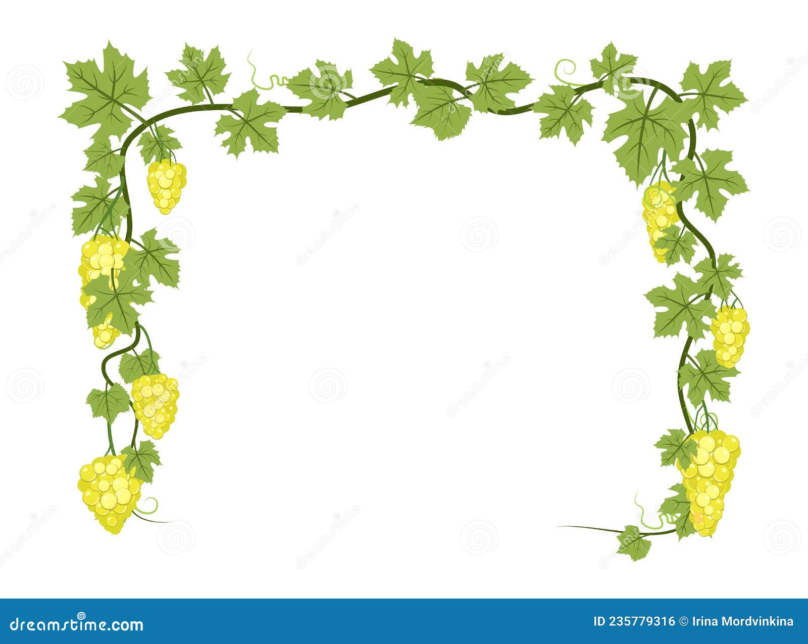 Rectangular Frame. Vine with Foliage and Bunches of Grapes. Viticulture ...